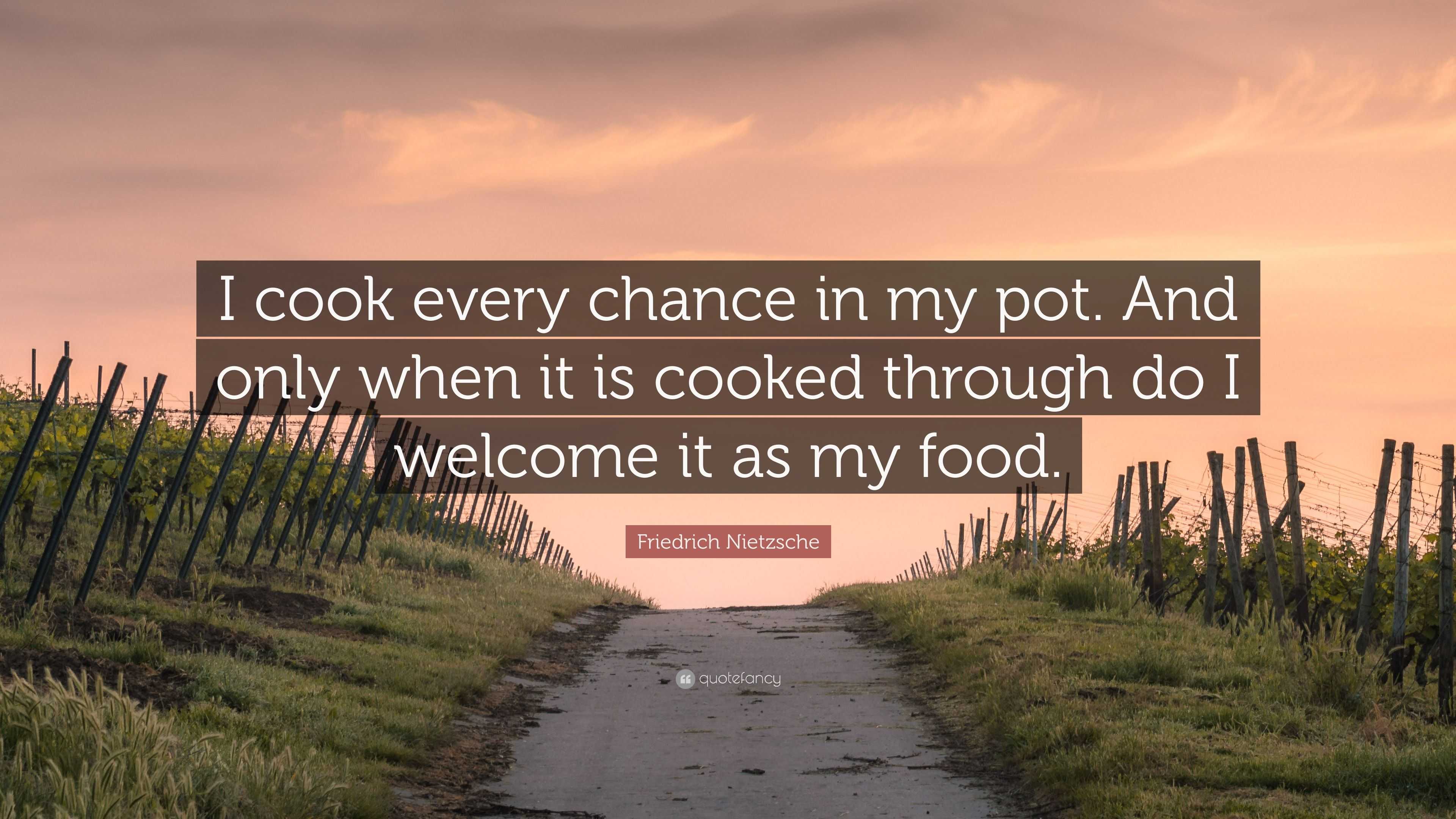 Friedrich Nietzsche Quote: “I cook every chance in my pot. And only ...