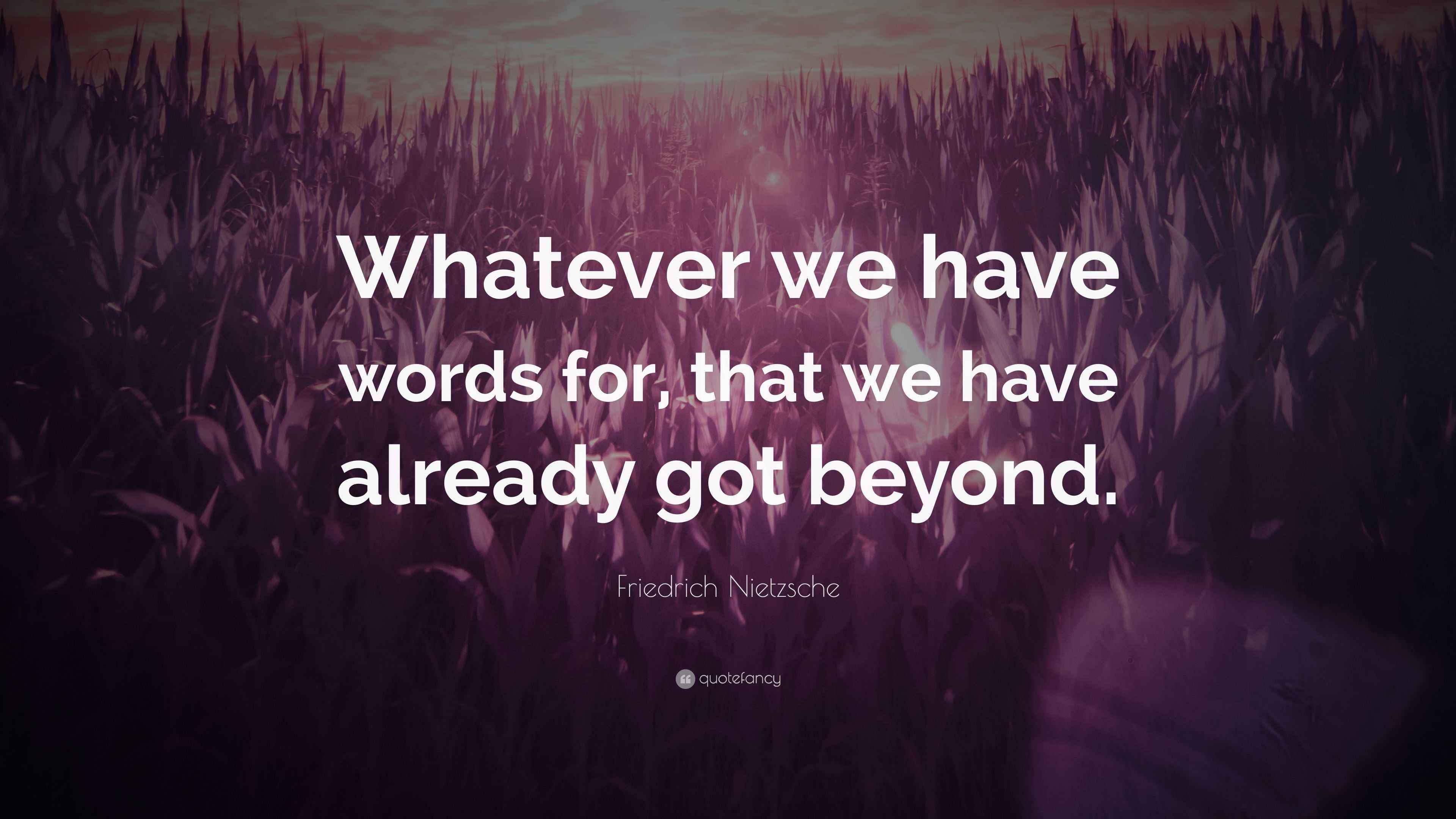 Friedrich Nietzsche Quote: “Whatever we have words for, that we have ...