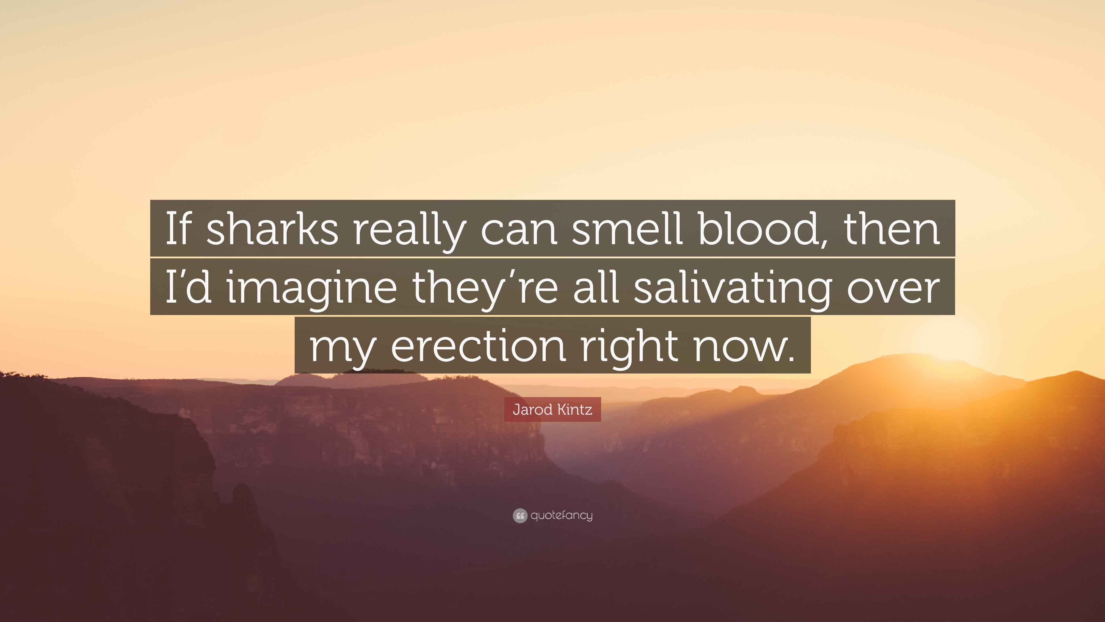 Jarod Kintz Quote: “If sharks really can smell blood, then I’d imagine ...