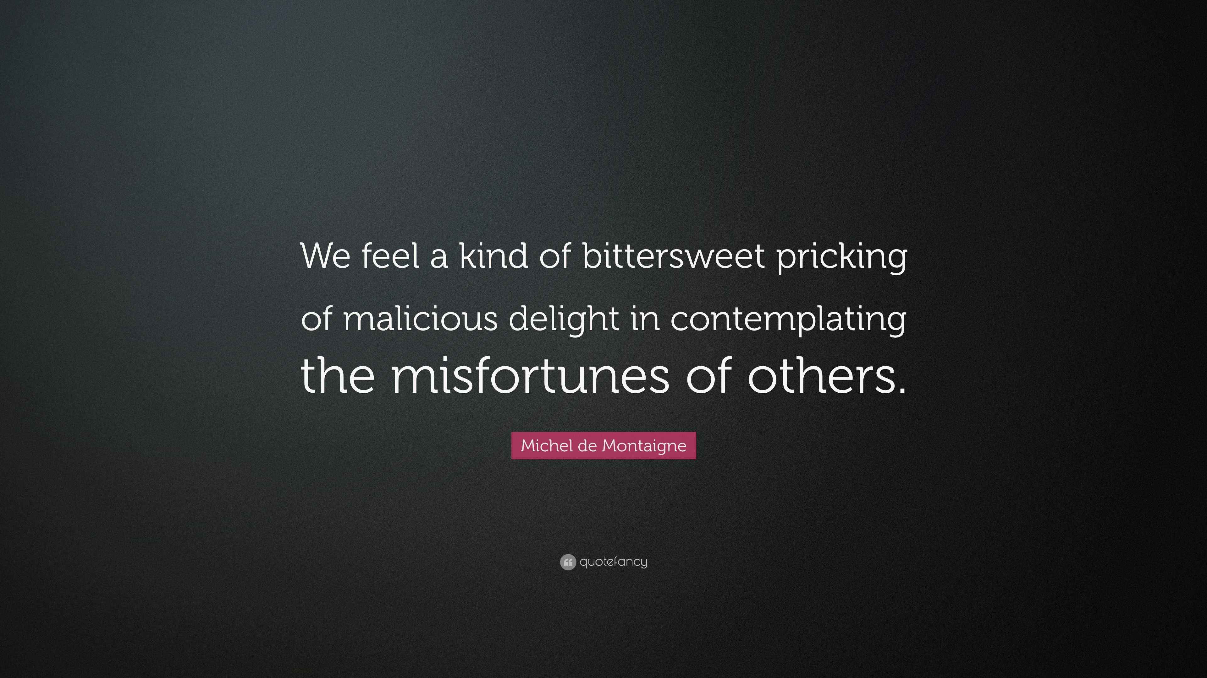 Michel de Montaigne Quote: “We feel a kind of bittersweet pricking of ...