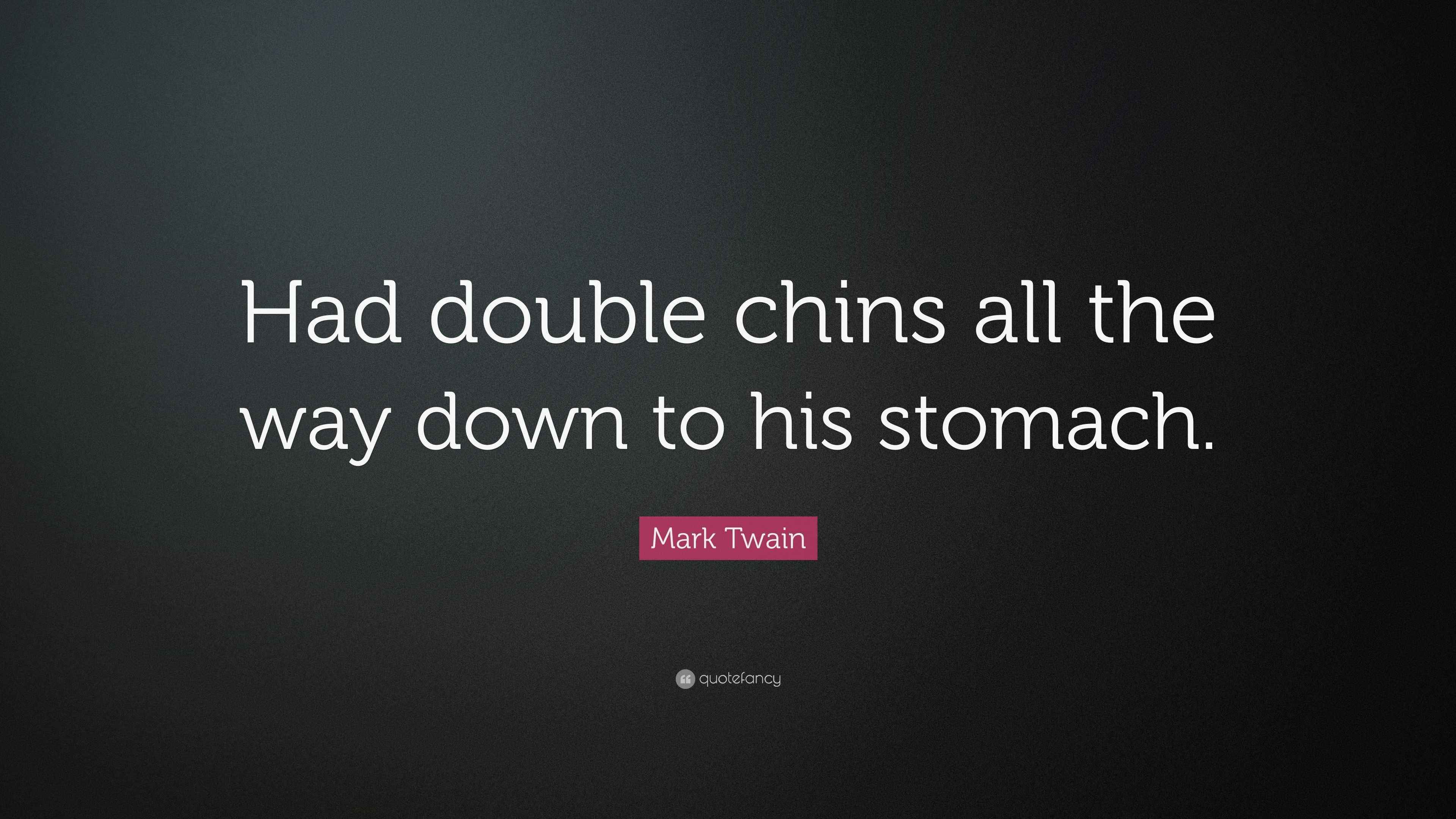 Mark Twain Quote: “Had double chins all the way down to his stomach.”