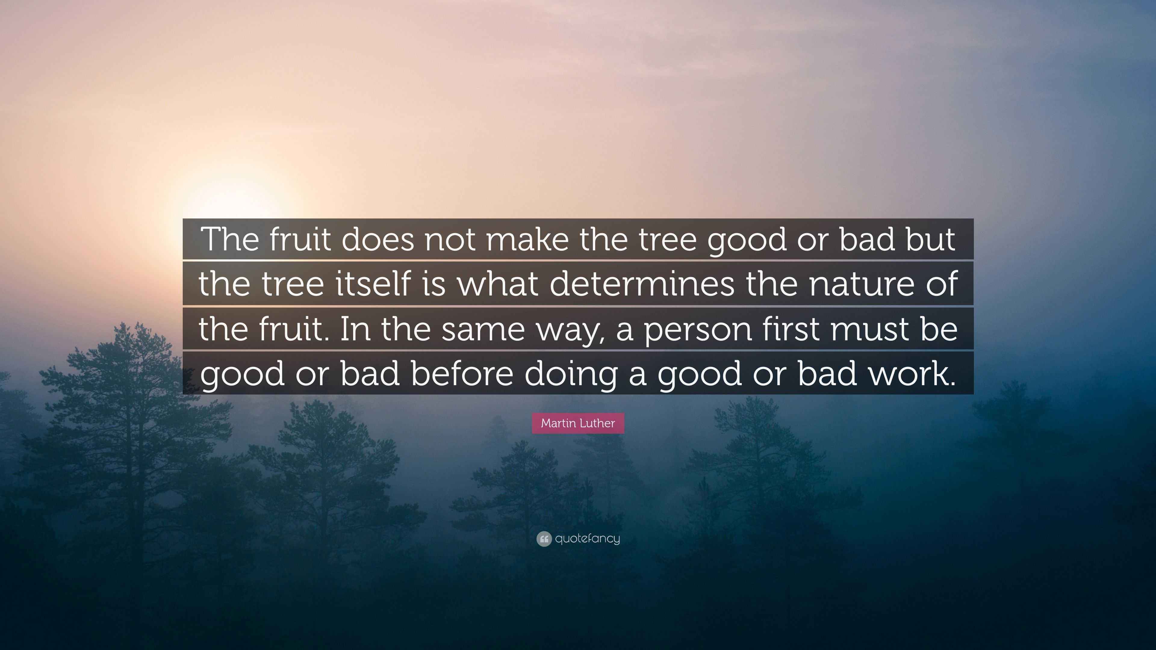 Martin Luther Quote: “The fruit does not make the tree good or bad but ...