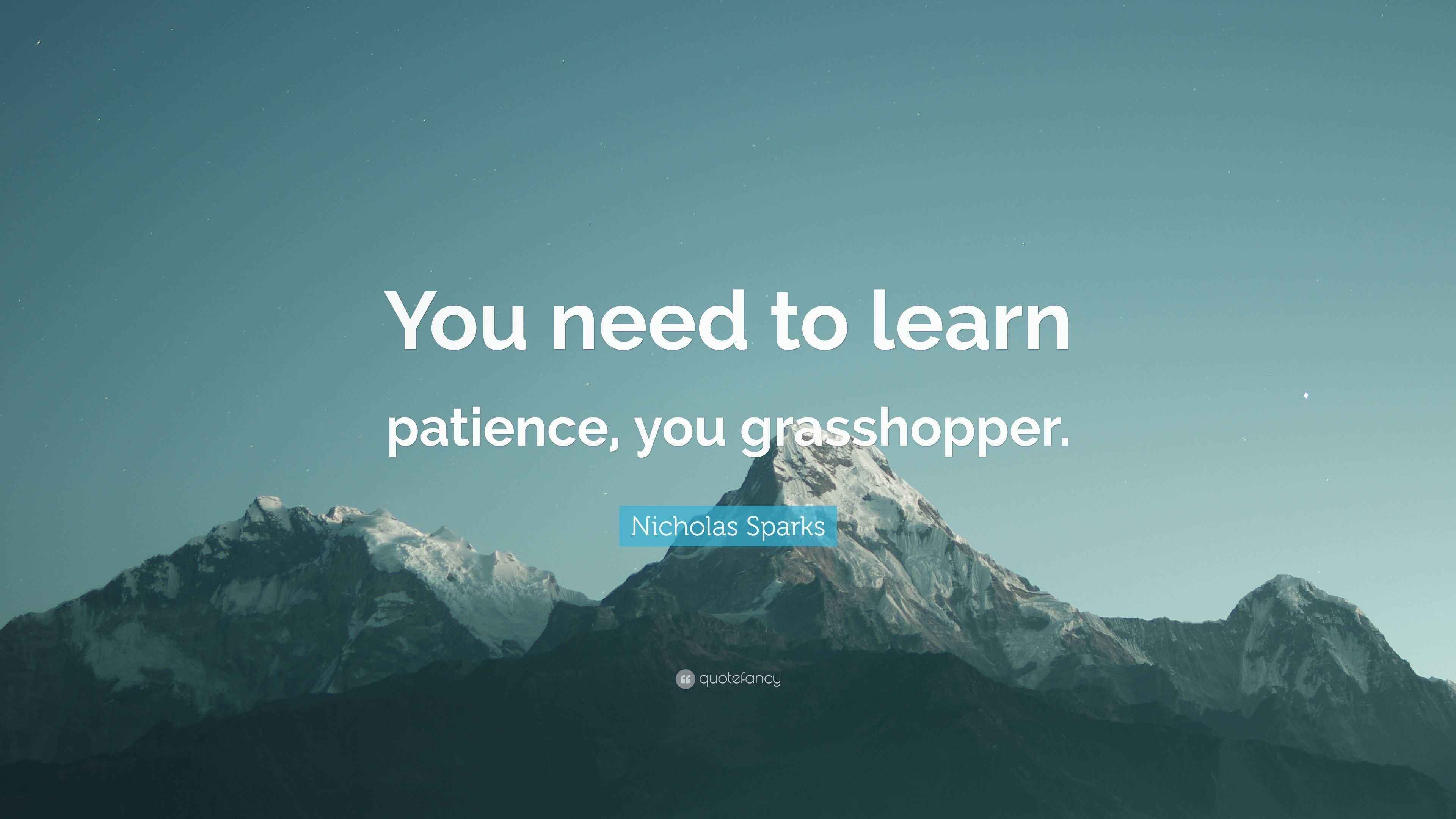 Nicholas Sparks Quote: “You need to learn patience, you grasshopper.”