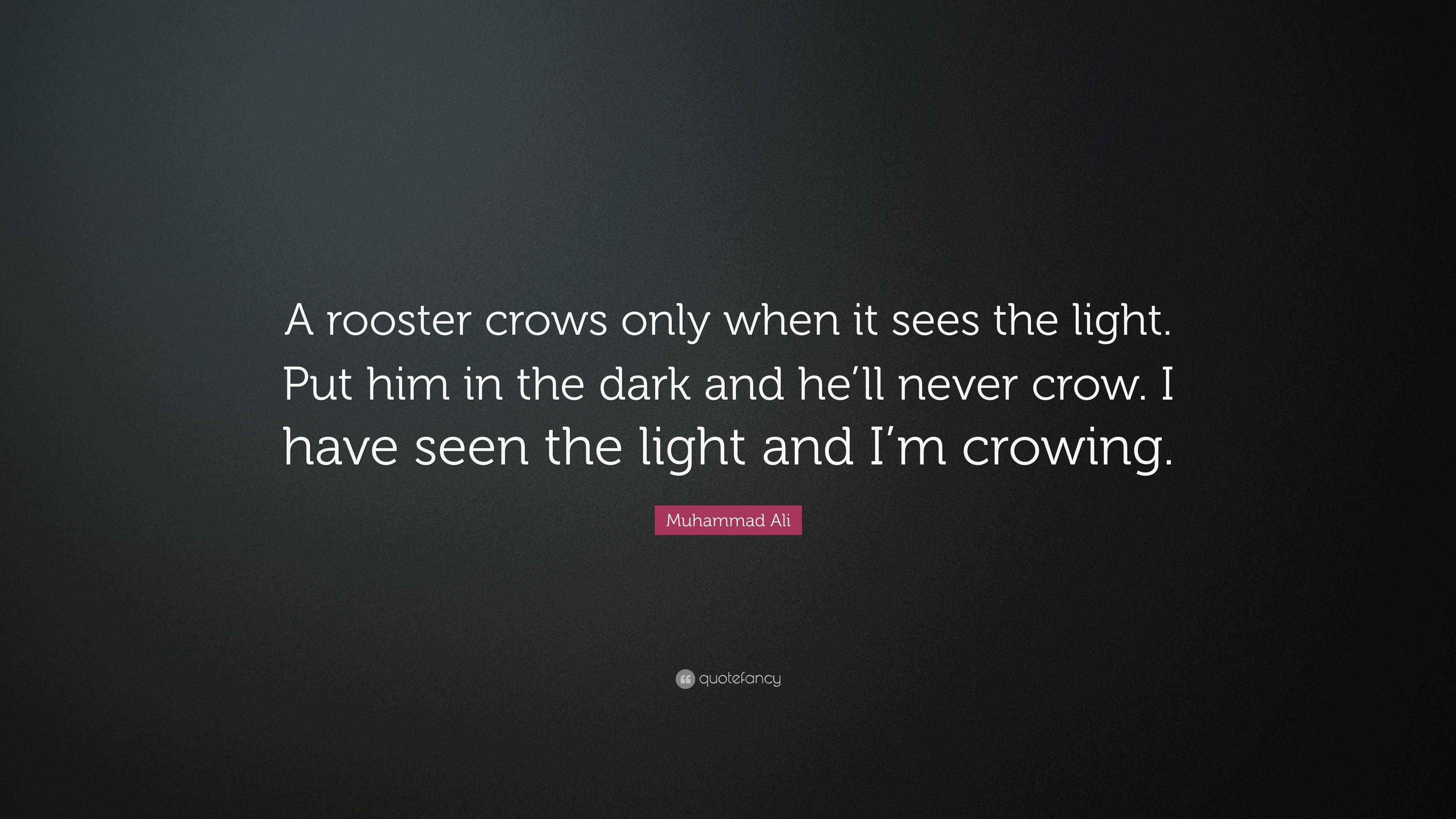 Muhammad Ali Quote: “A rooster crows only when it sees the light. Put ...