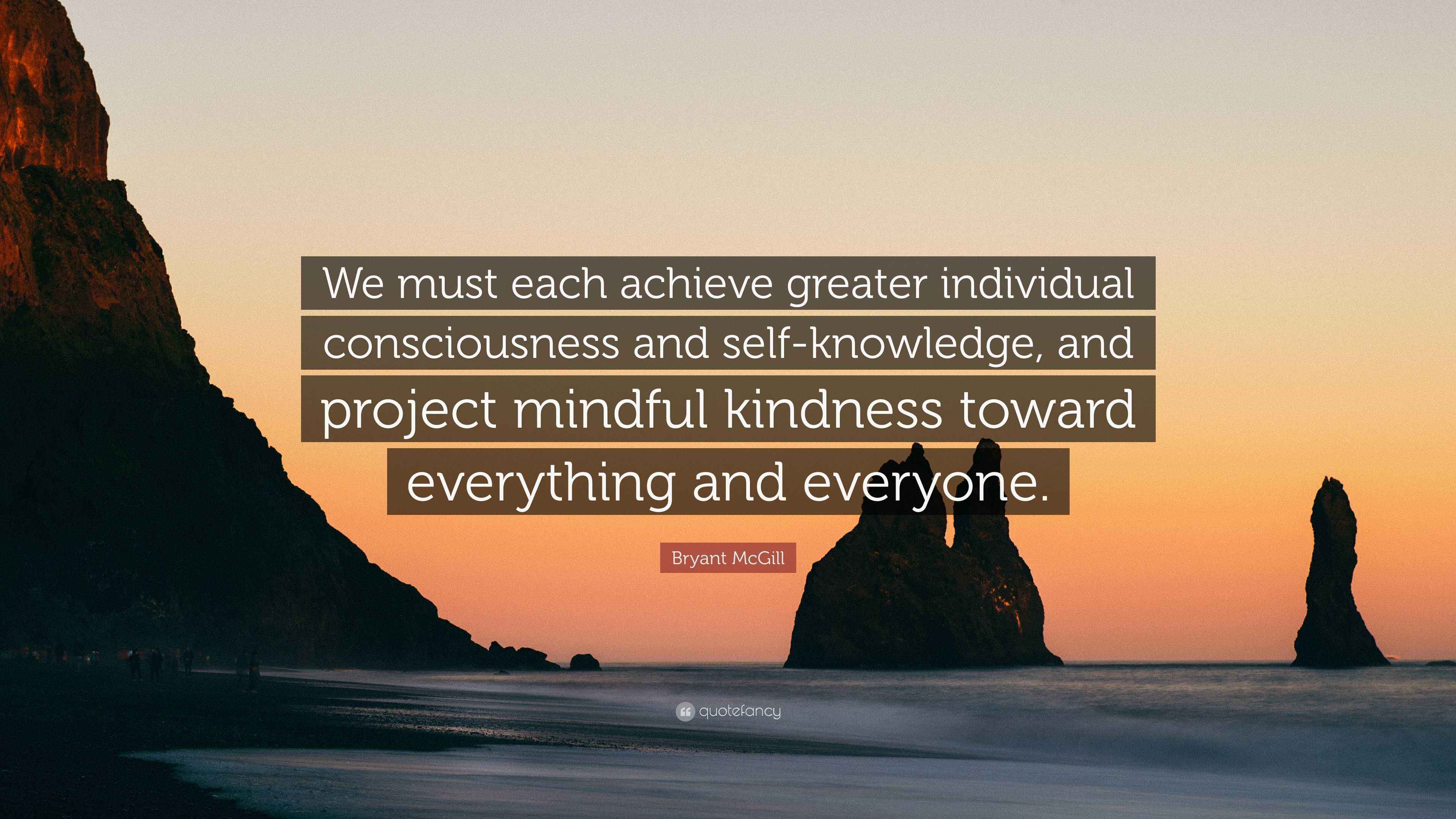 Bryant McGill Quote: “We must each achieve greater individual ...