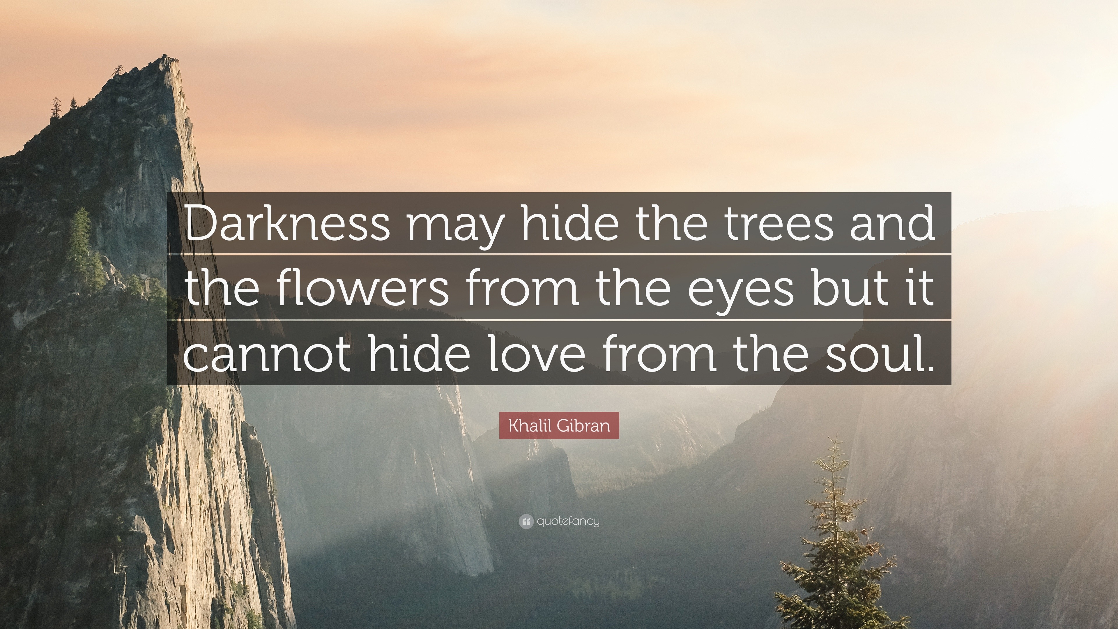 Khalil Gibran Quote: “Darkness may hide the trees and the flowers from ...
