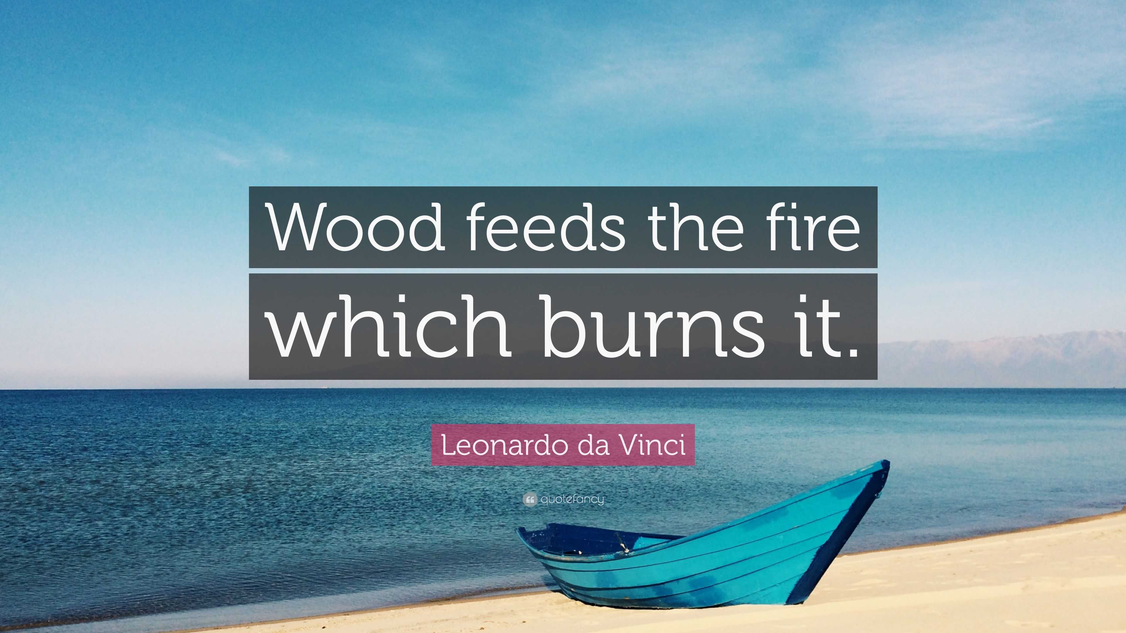 Leonardo da Vinci Quote: “Wood feeds the fire which burns it.”