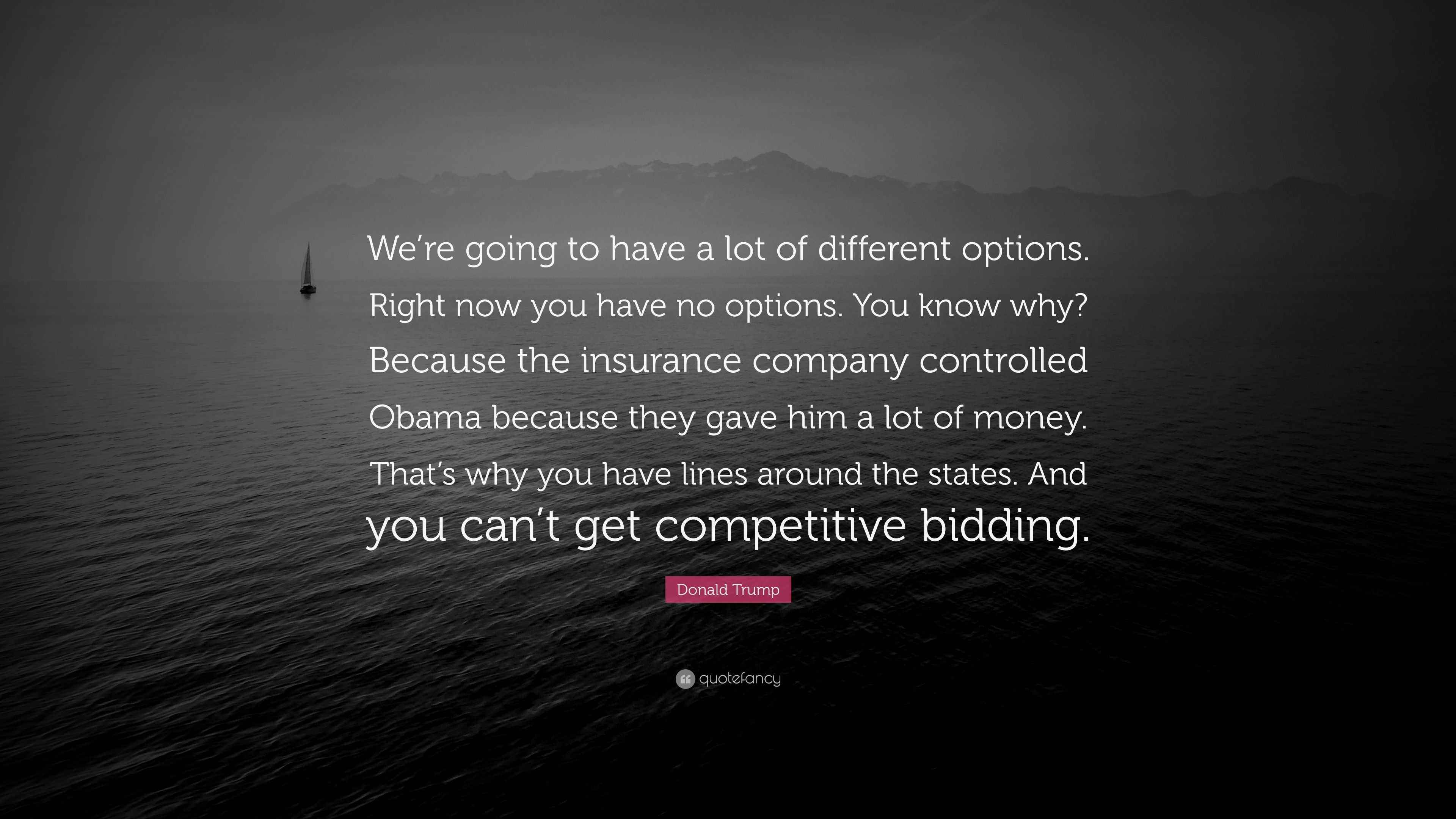 Donald Trump Quote: “We’re going to have a lot of different options ...