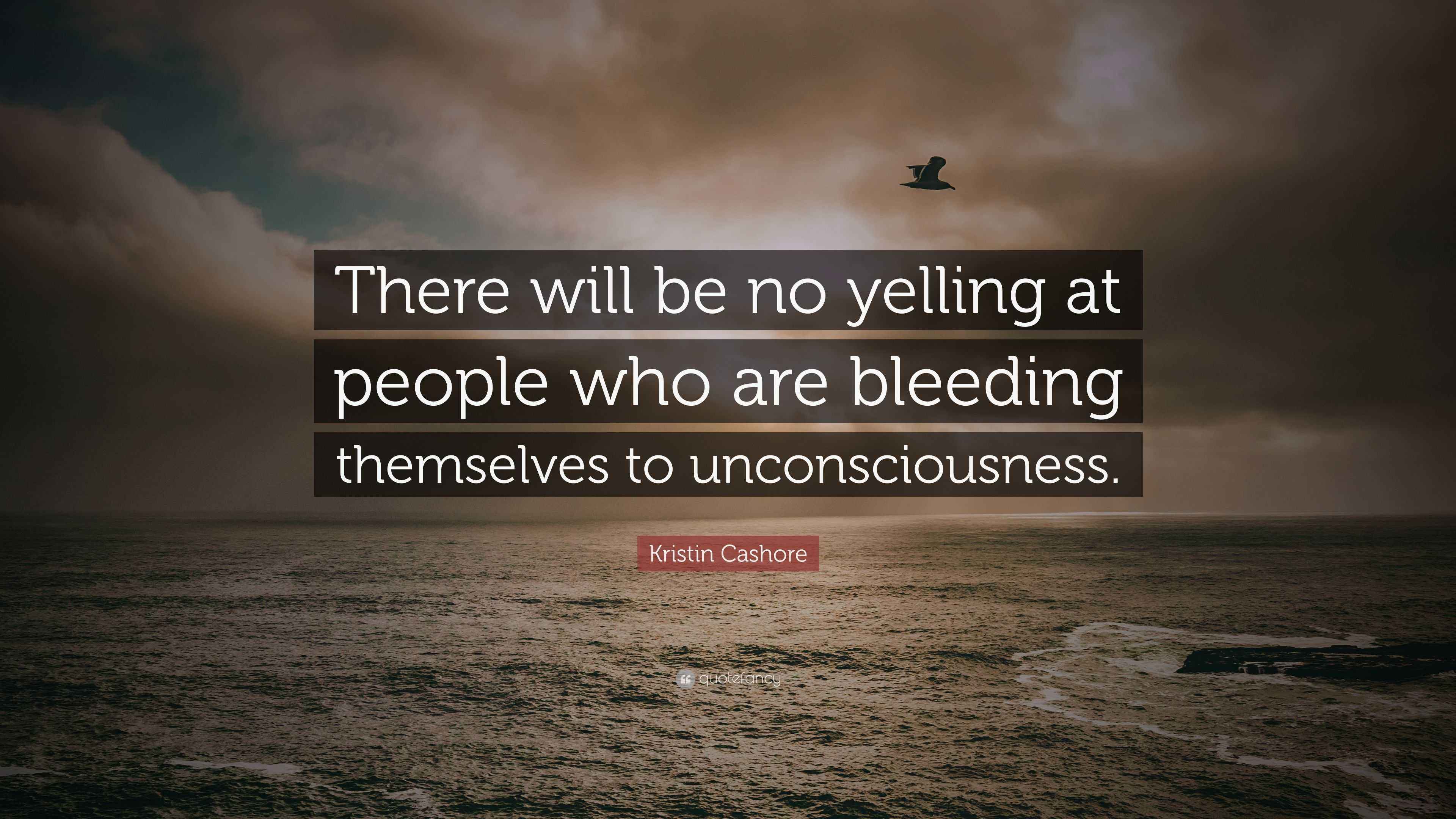 Kristin Cashore Quote: “There will be no yelling at people who are ...