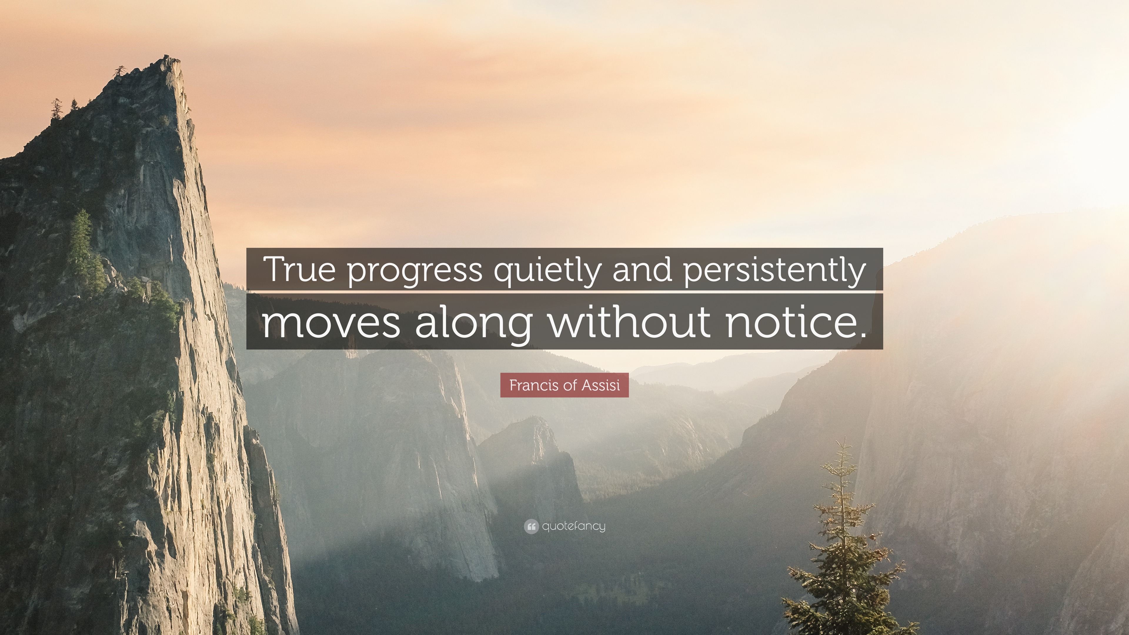 Francis of Assisi Quote: “True progress quietly and persistently moves ...