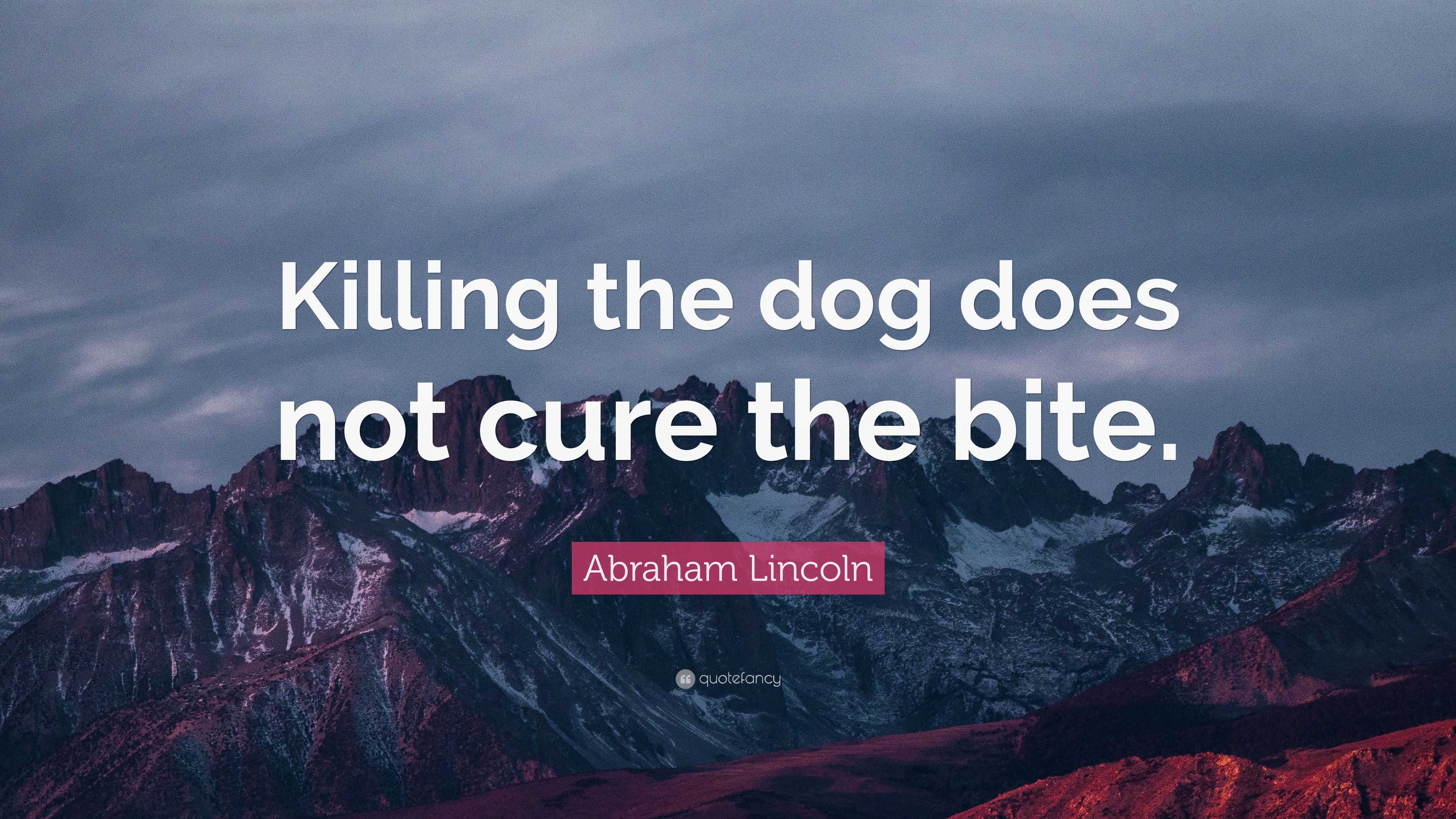 Abraham Lincoln Quote: “Killing the dog does not cure the bite.”
