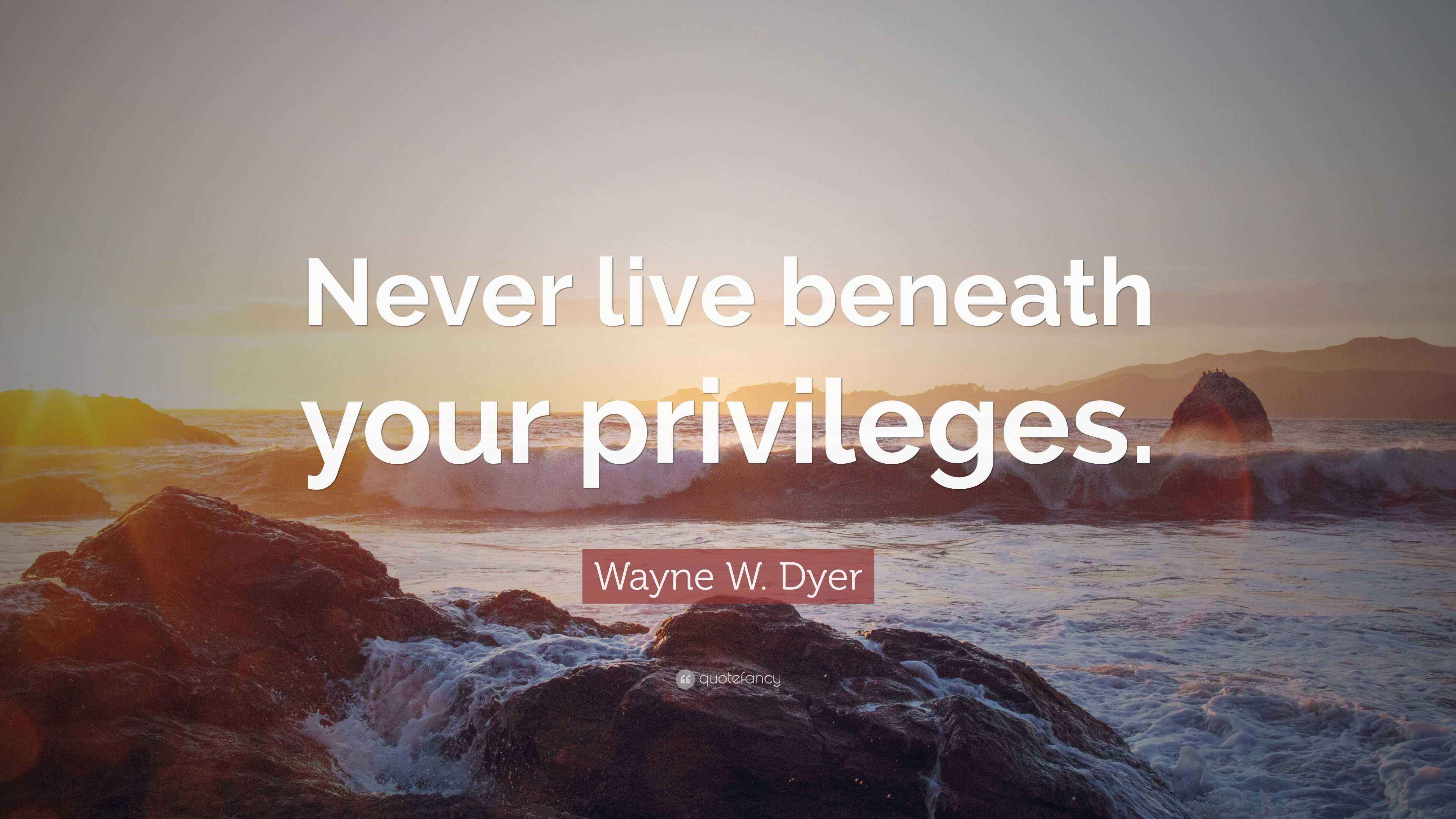 Wayne W. Dyer Quote: “Never live beneath your privileges.”