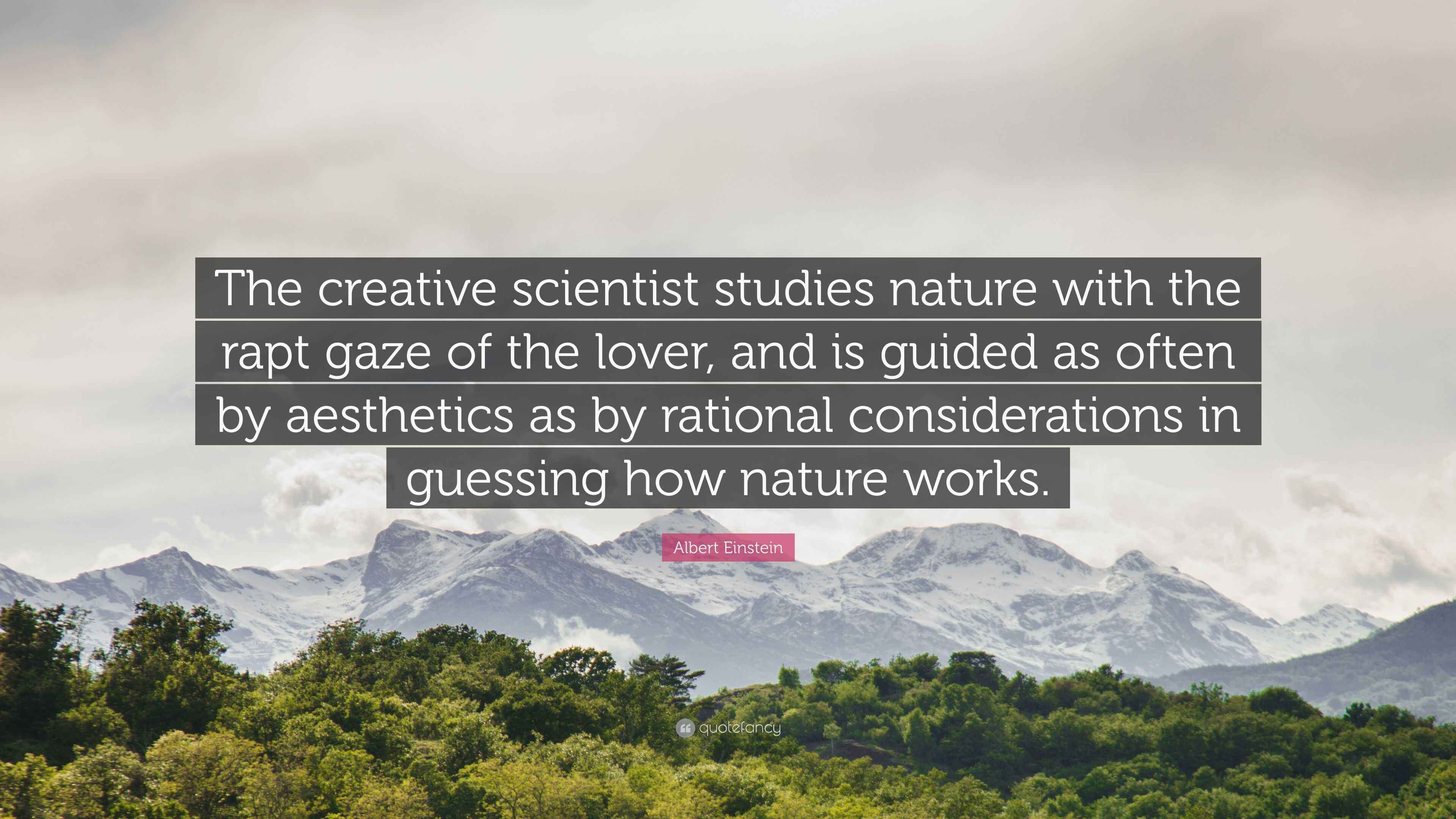 Albert Einstein Quote: “The creative scientist studies nature with the ...