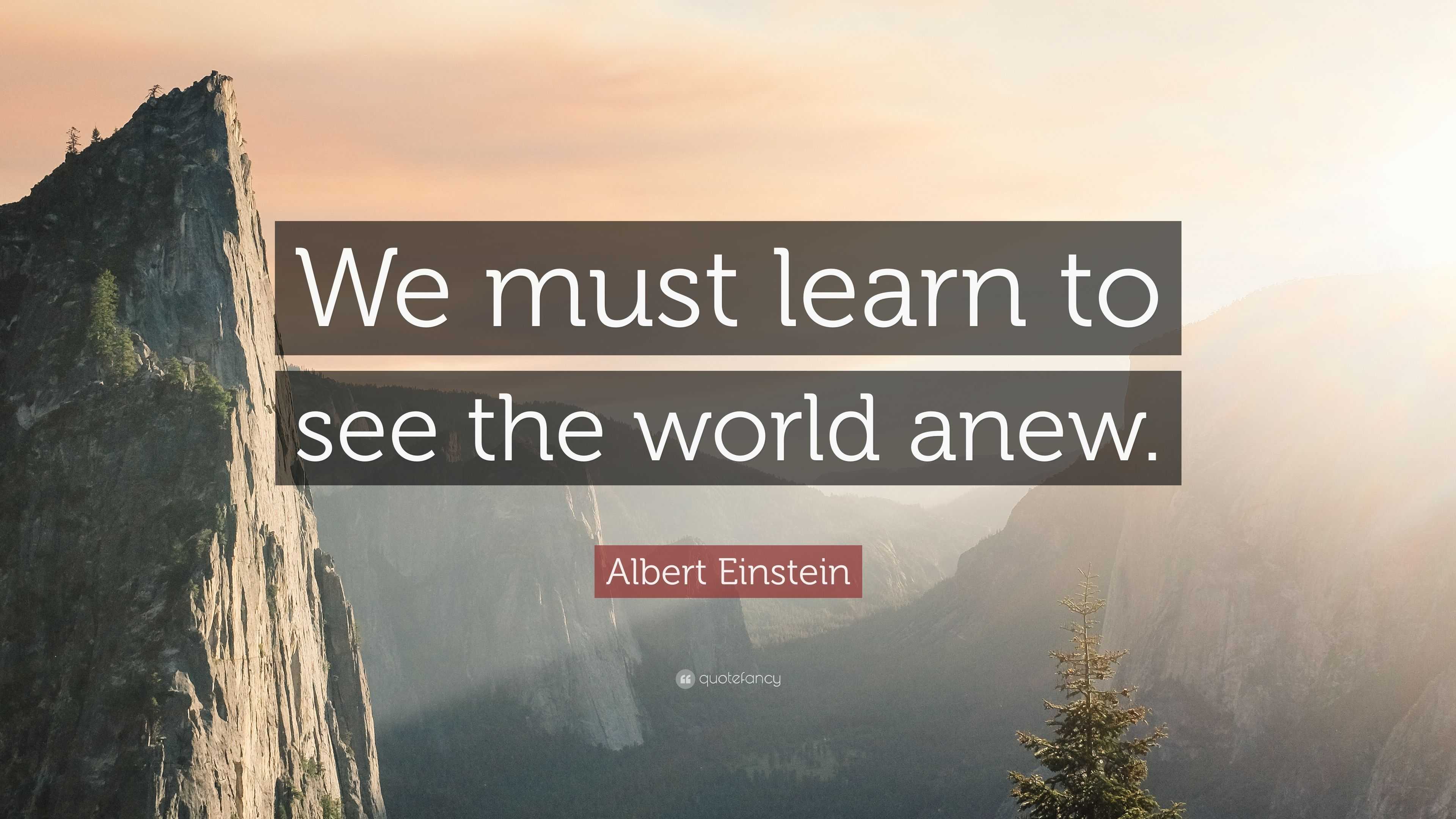 Albert Einstein Quote: “We must learn to see the world anew.”