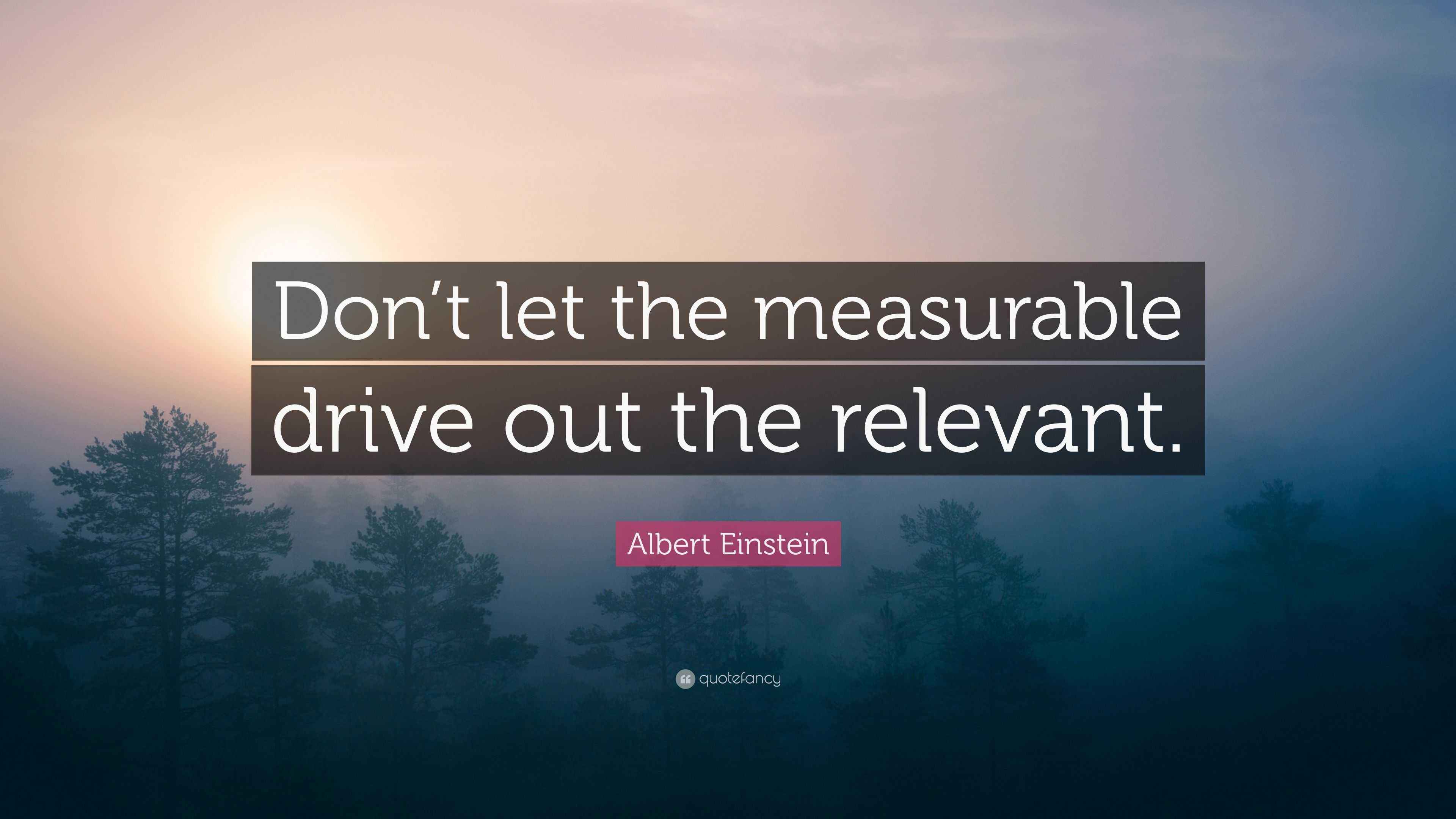 Albert Einstein Quote: “Don’t let the measurable drive out the relevant.”