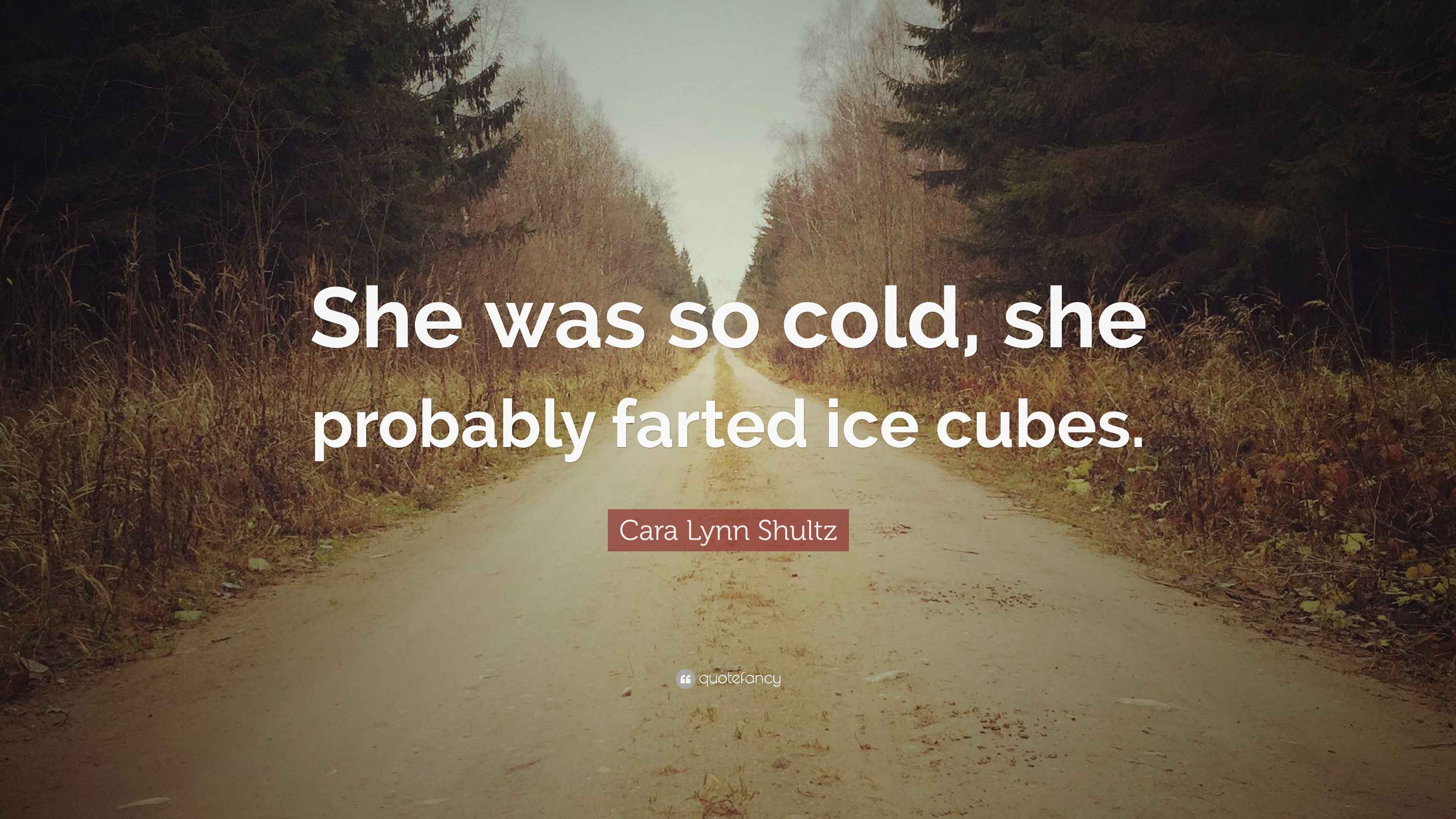 Cara Lynn Shultz Quote: “She was so cold, she probably farted ice cubes.”