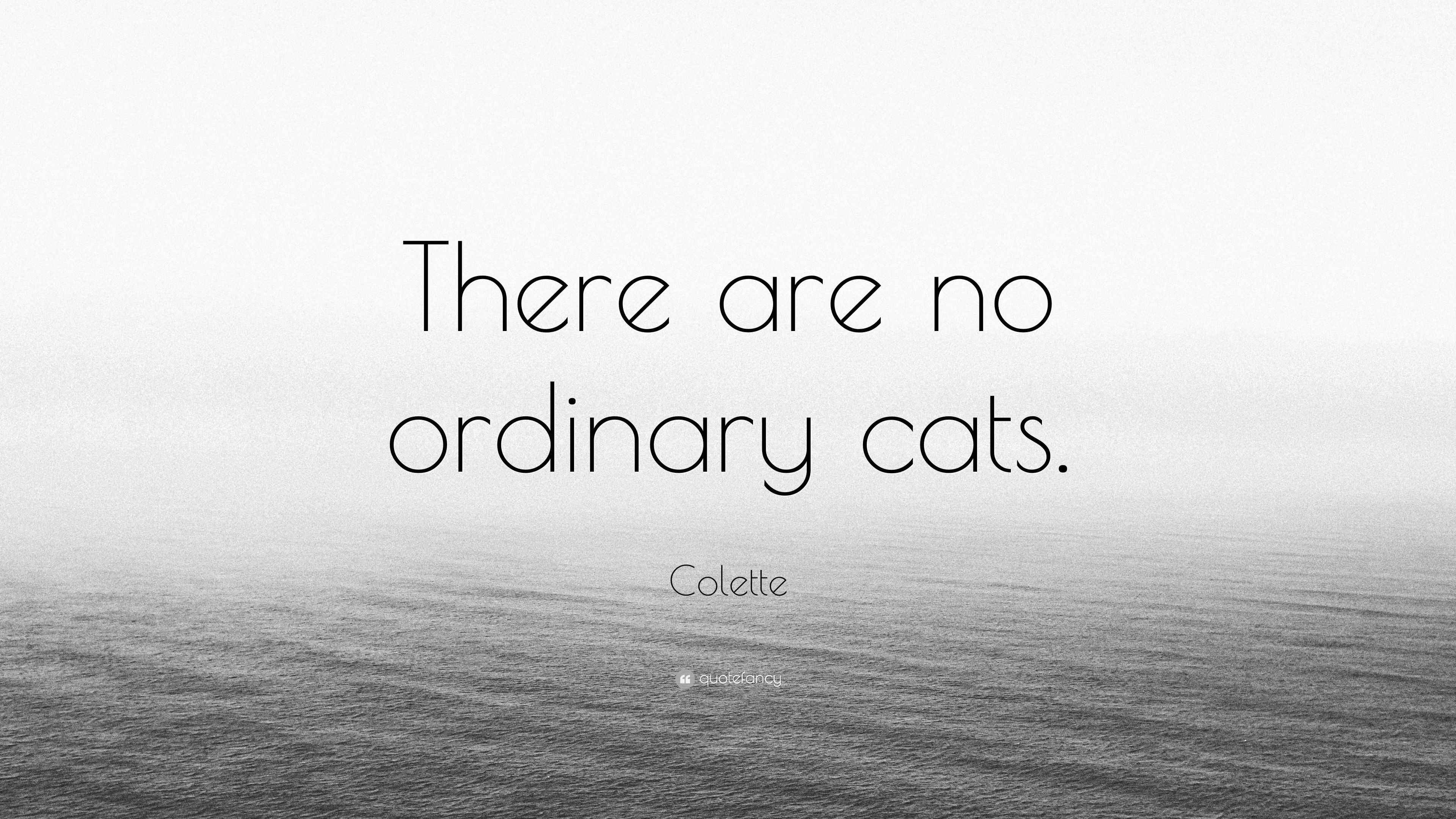 Colette Quote: “There are no ordinary cats.”