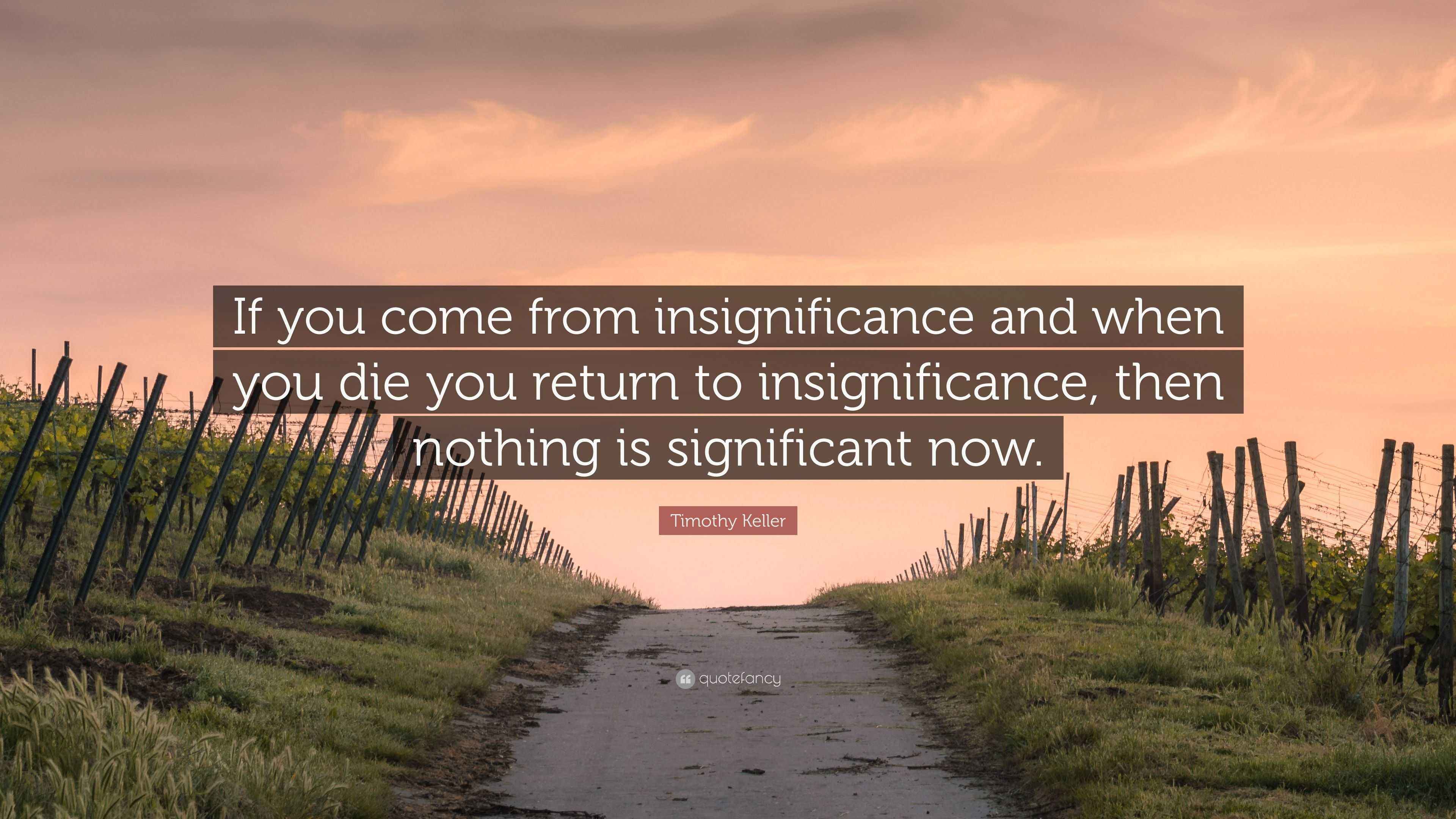 Timothy Keller Quote: “If you come from insignificance and when you die ...