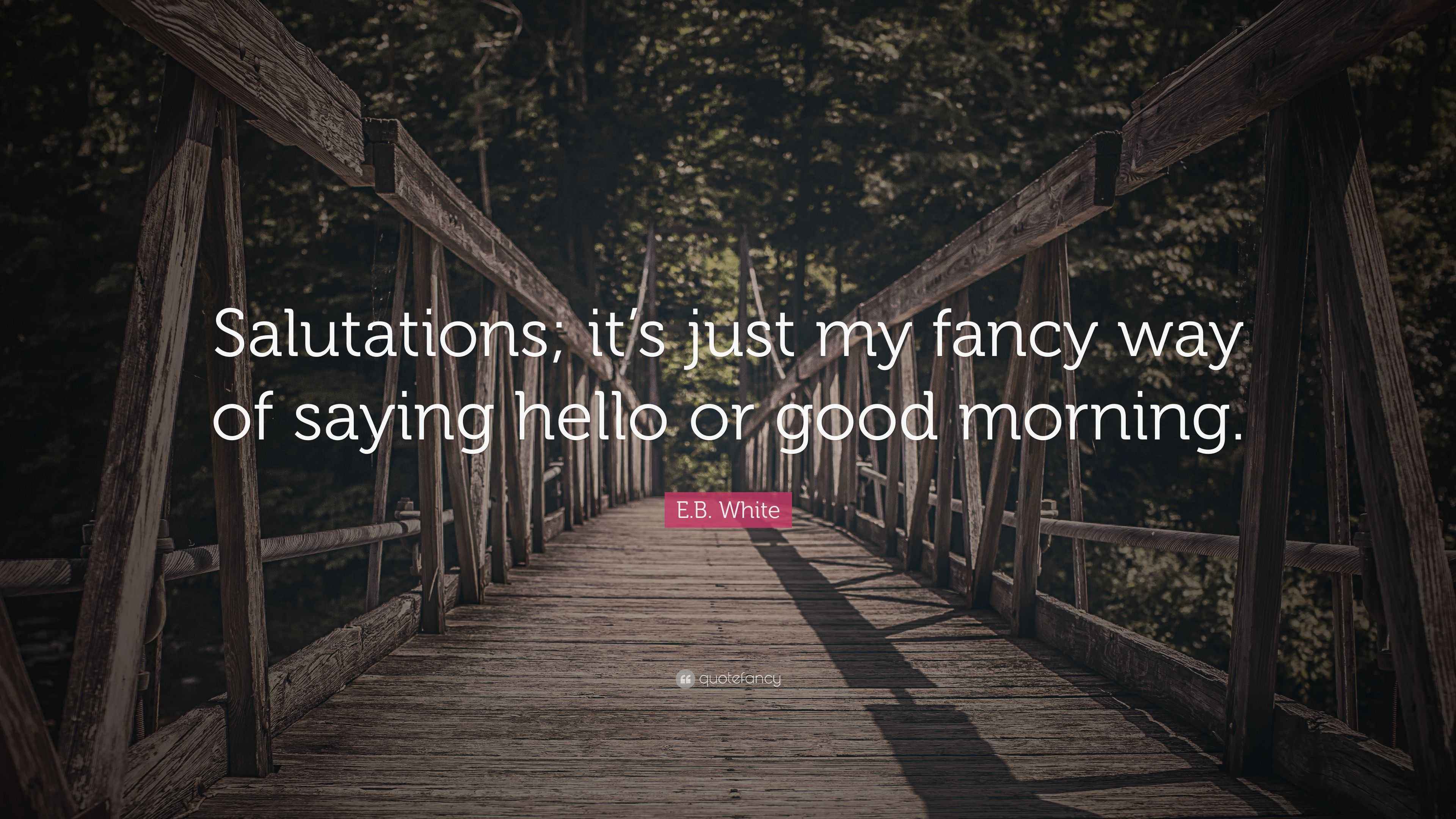 E.B. White Quote: “Salutations; it’s just my fancy way of saying hello ...