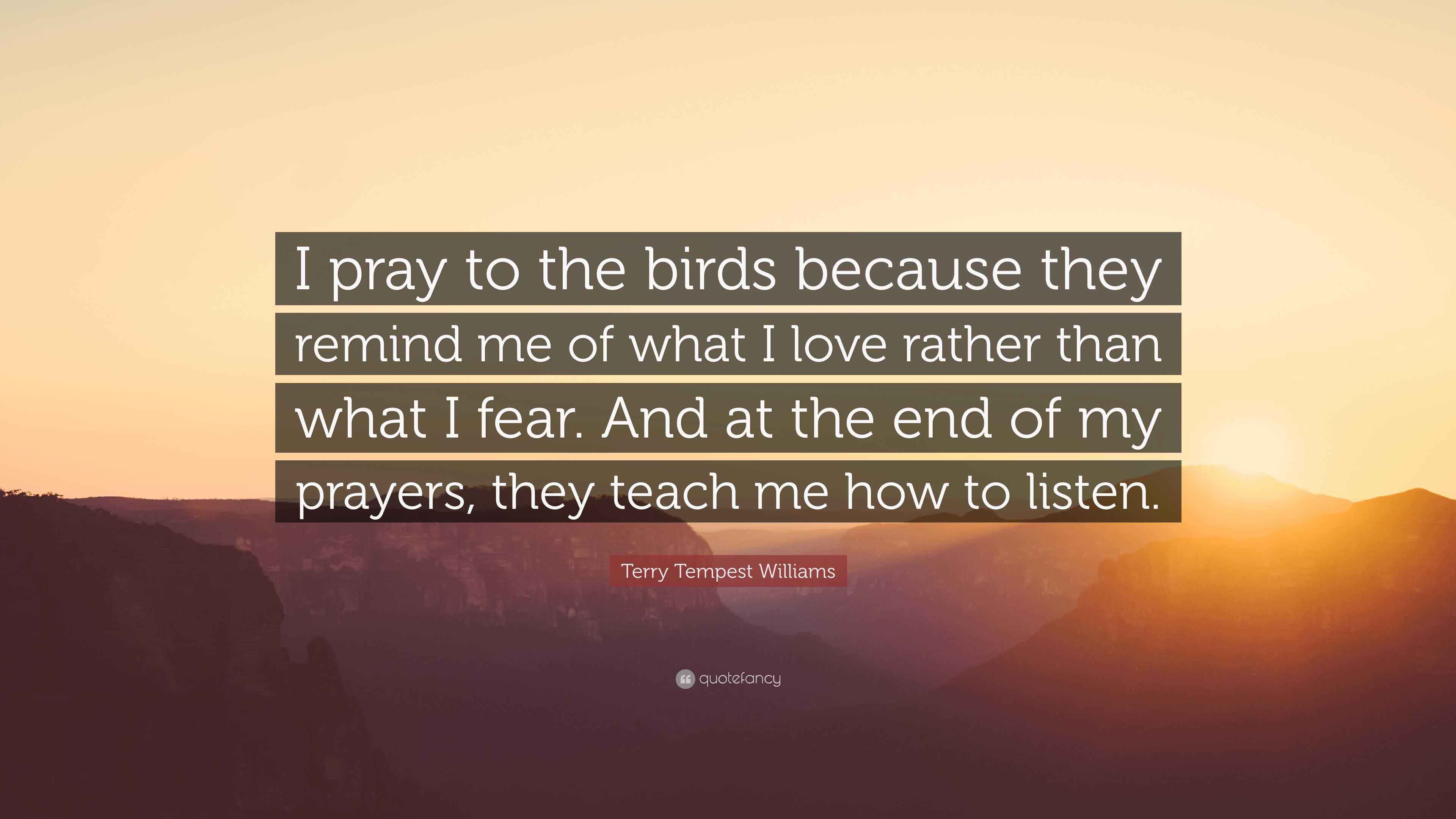 Terry Tempest Williams Quote: “I pray to the birds because they remind ...