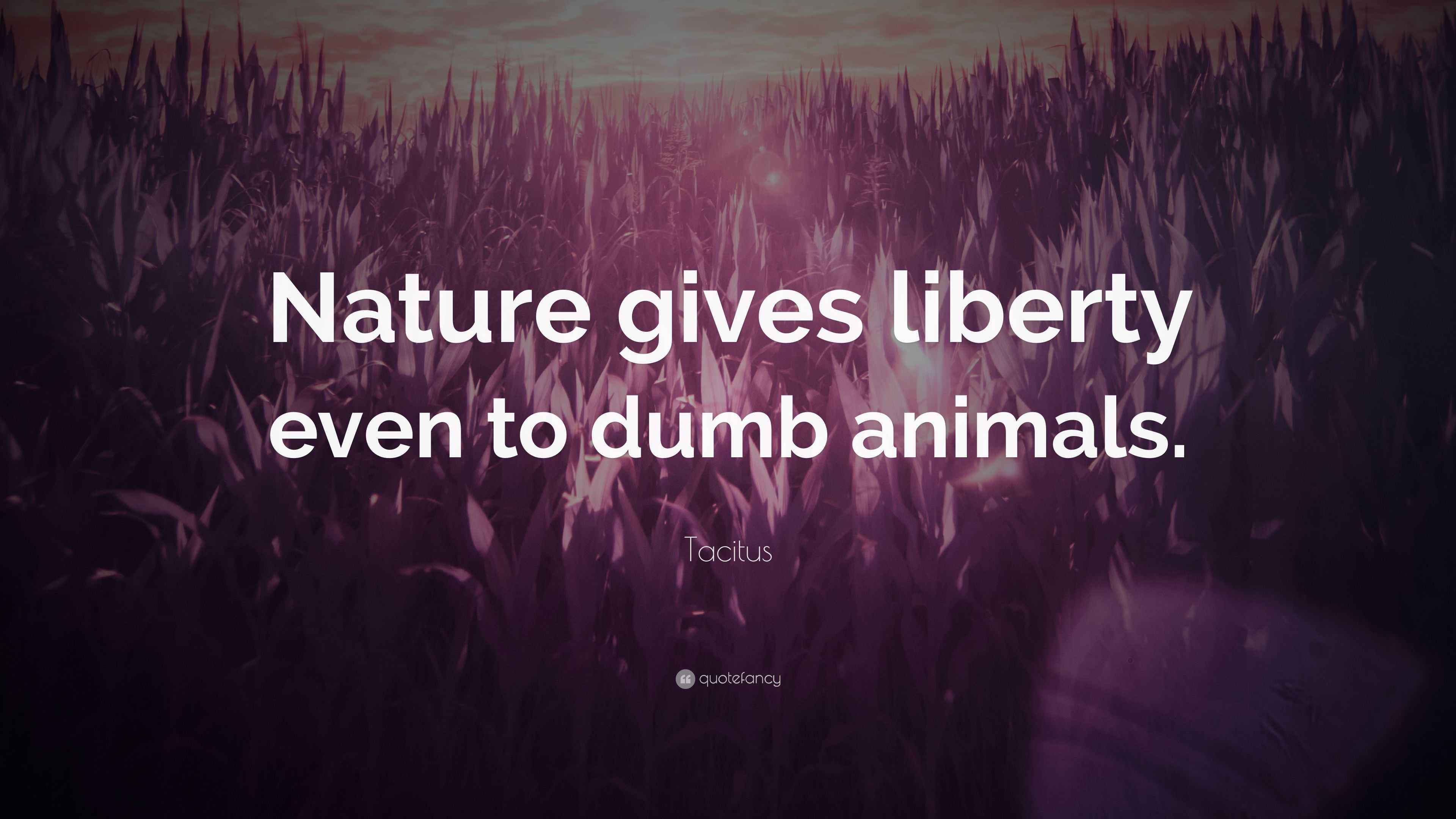 Tacitus Quote: “Nature gives liberty even to dumb animals.”