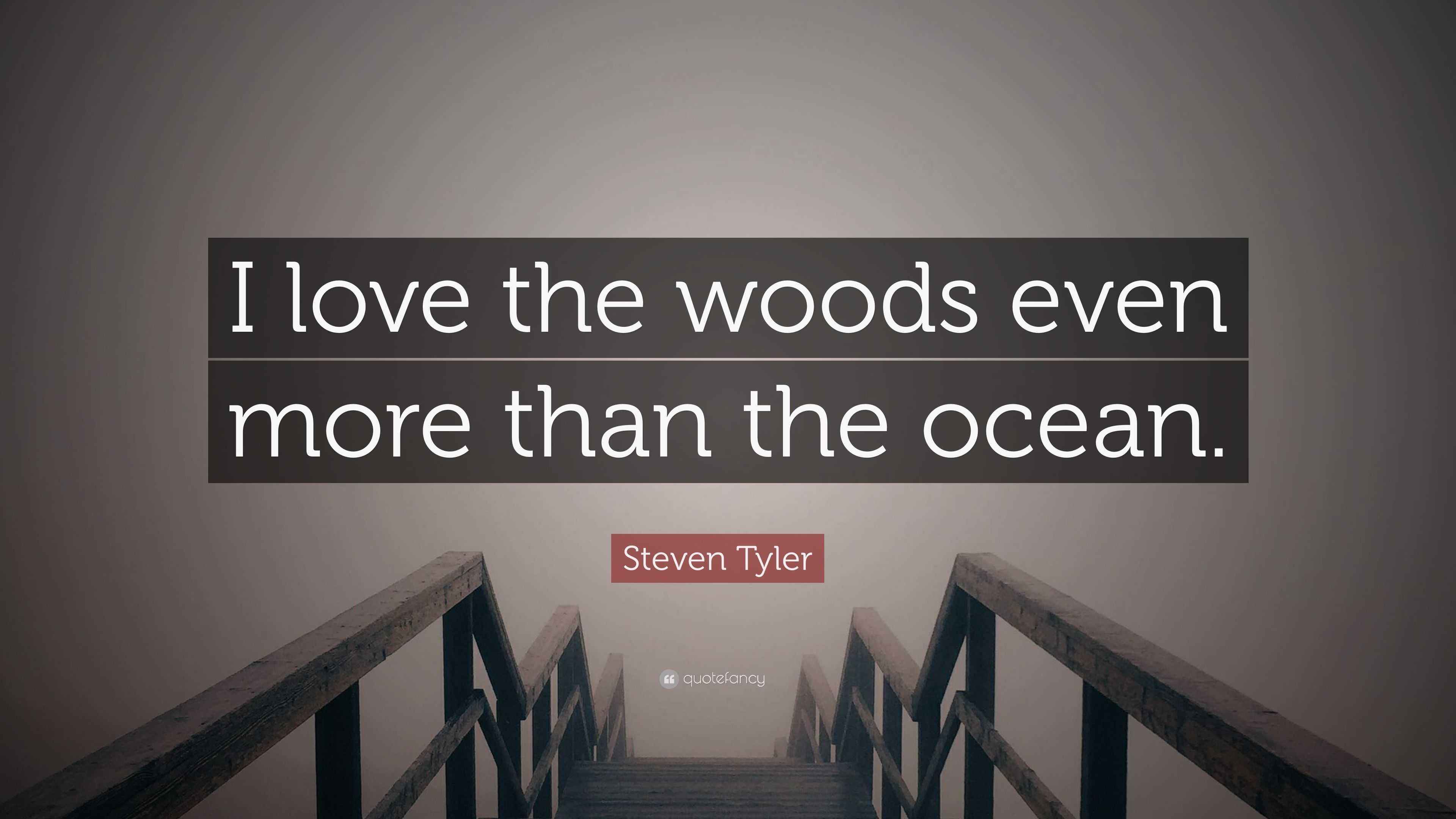Steven Tyler Quote: “I love the woods even more than the ocean.”