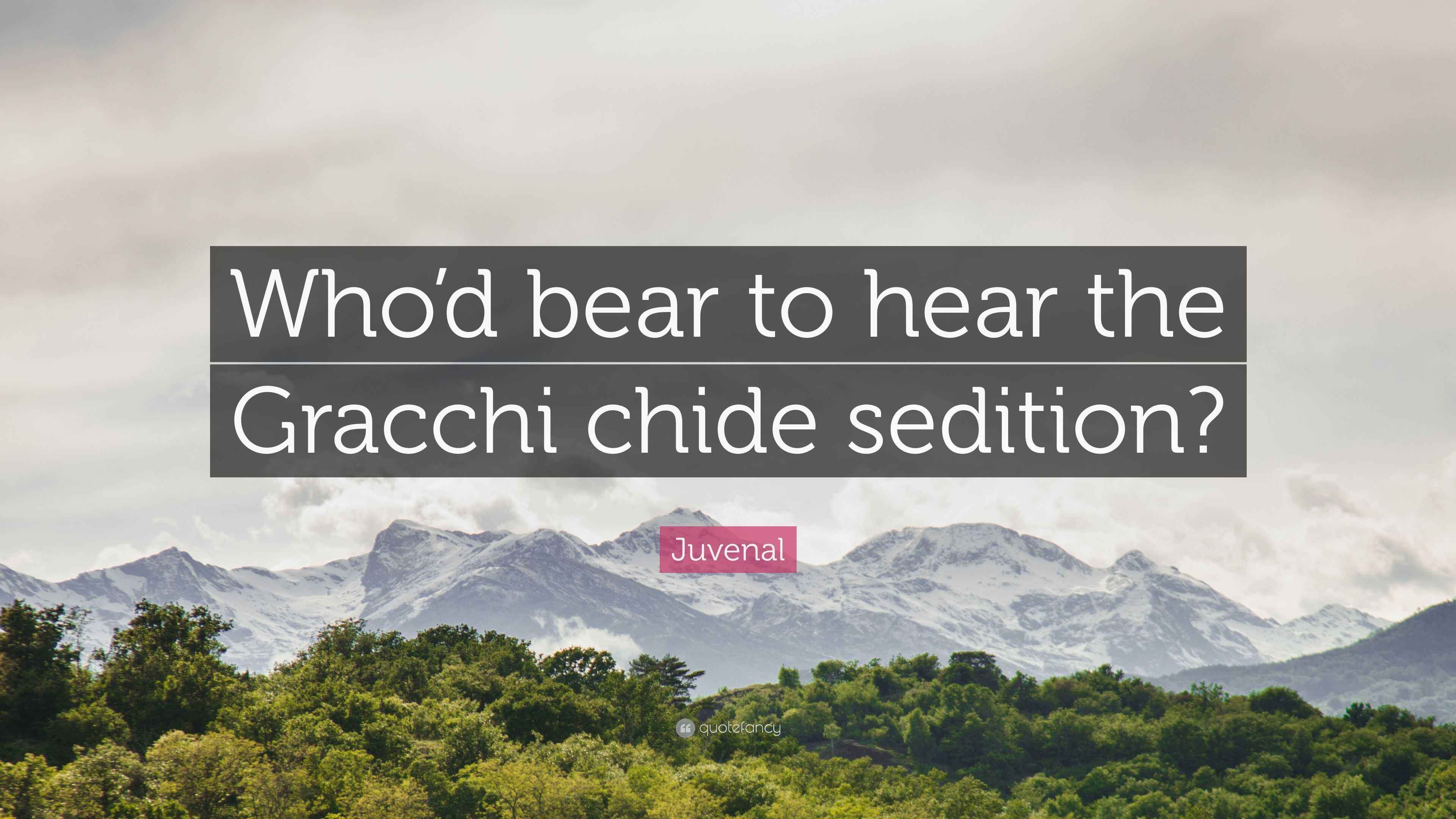 Juvenal Quote: “Who’d bear to hear the Gracchi chide sedition?”