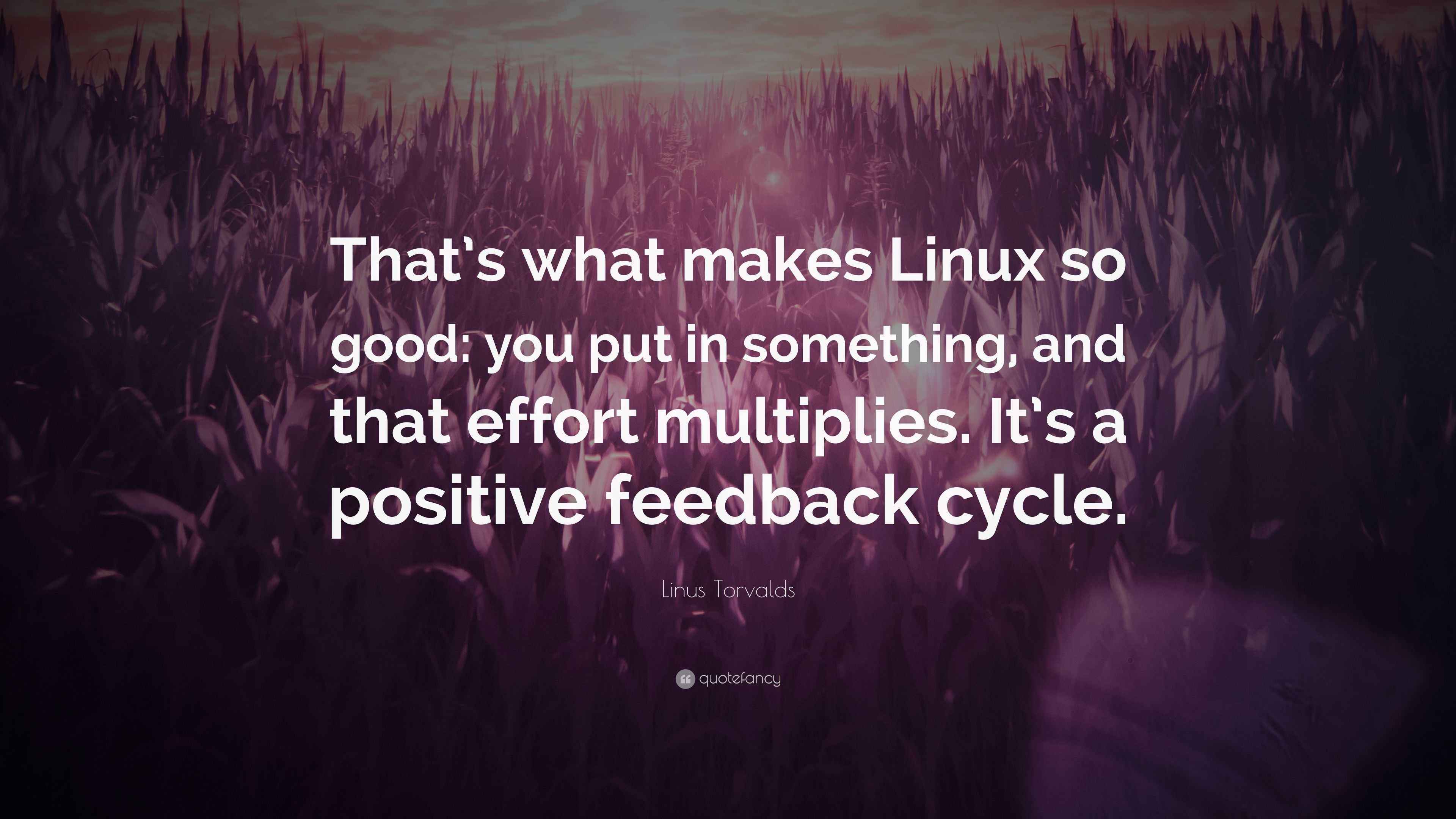 Linus Torvalds Quote: “That’s what makes Linux so good: you put in ...