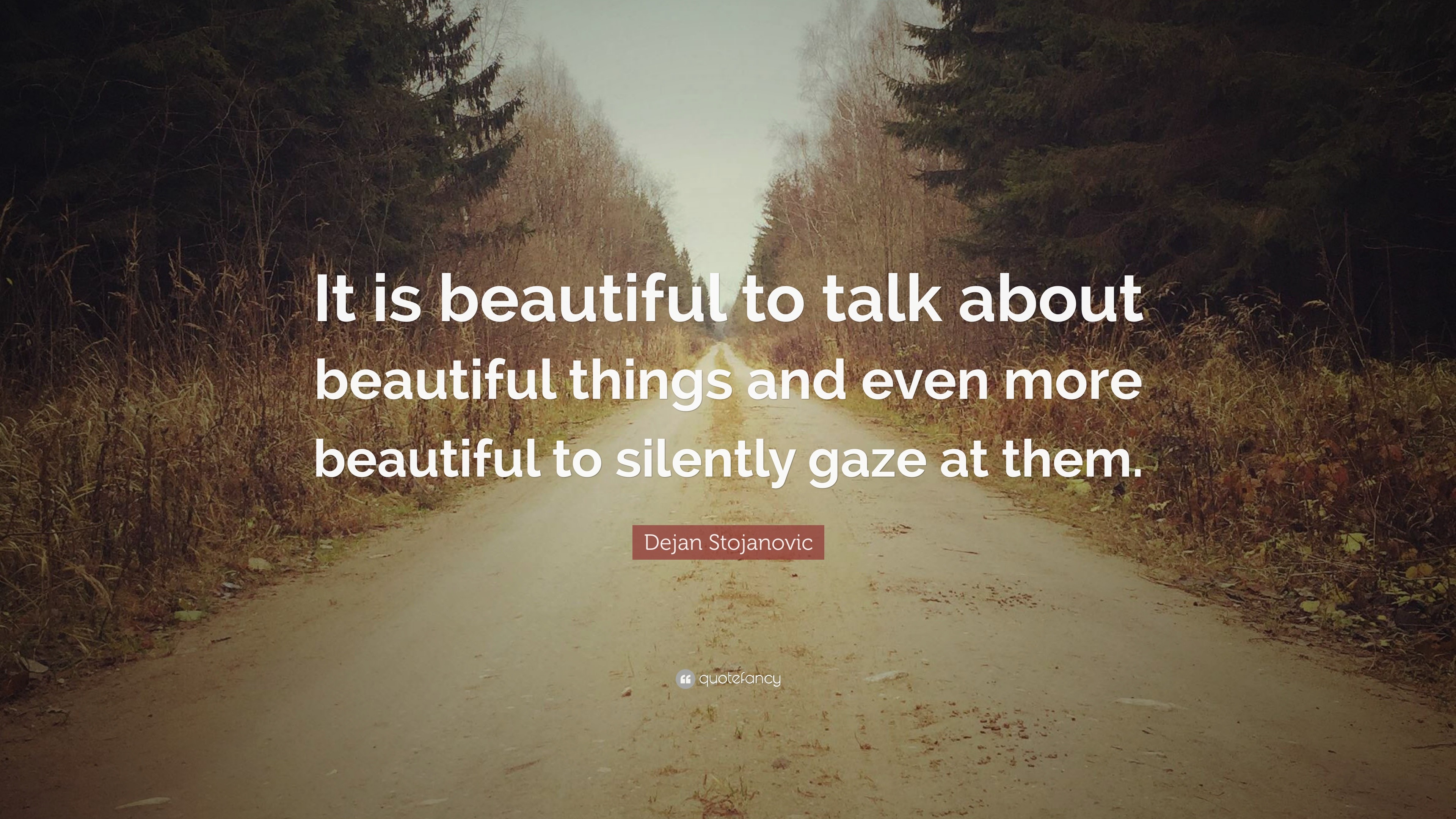 Dejan Stojanovic Quote: “It is beautiful to talk about beautiful things ...