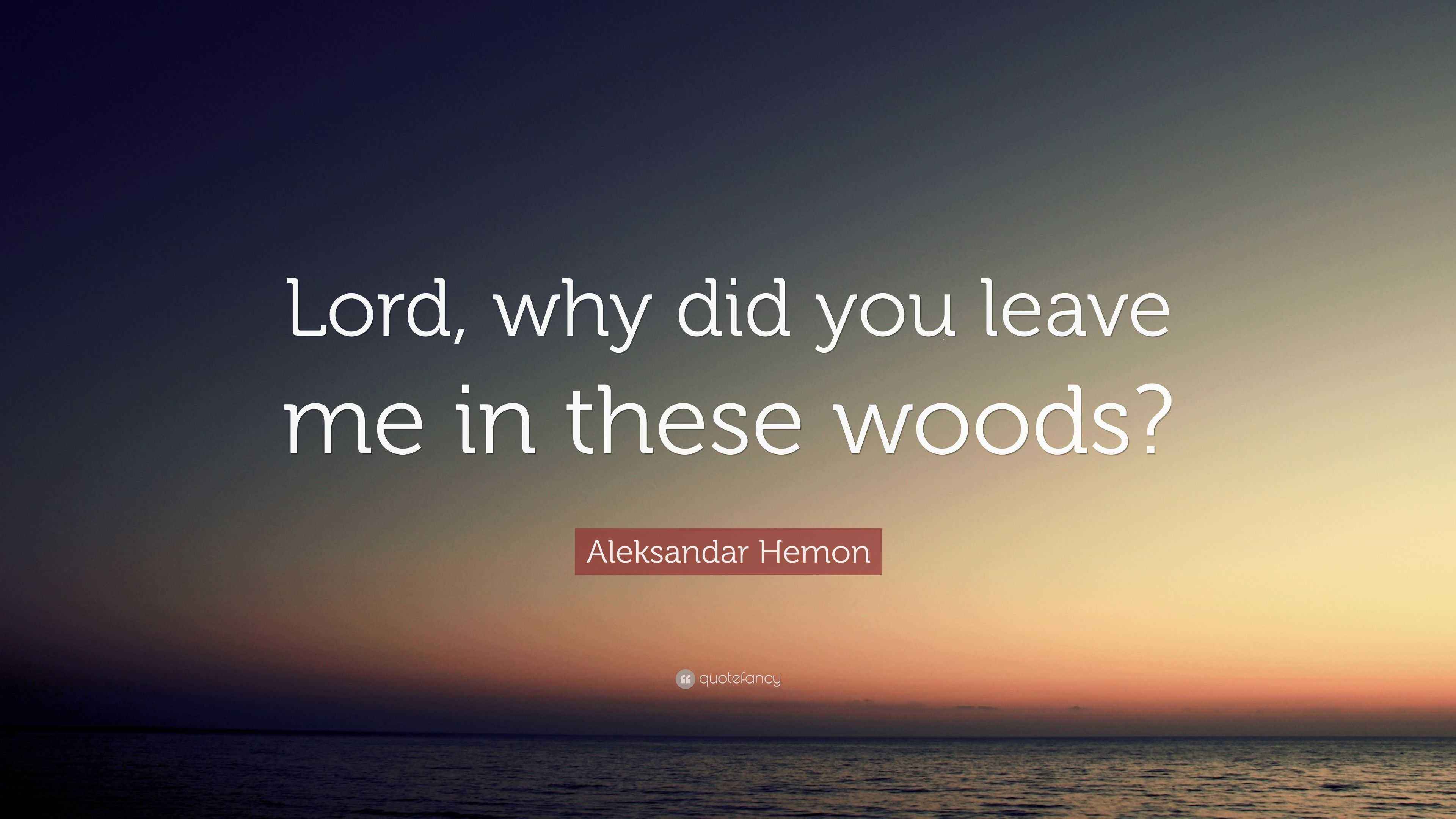Aleksandar Hemon Quote: “Lord, why did you leave me in these woods?”