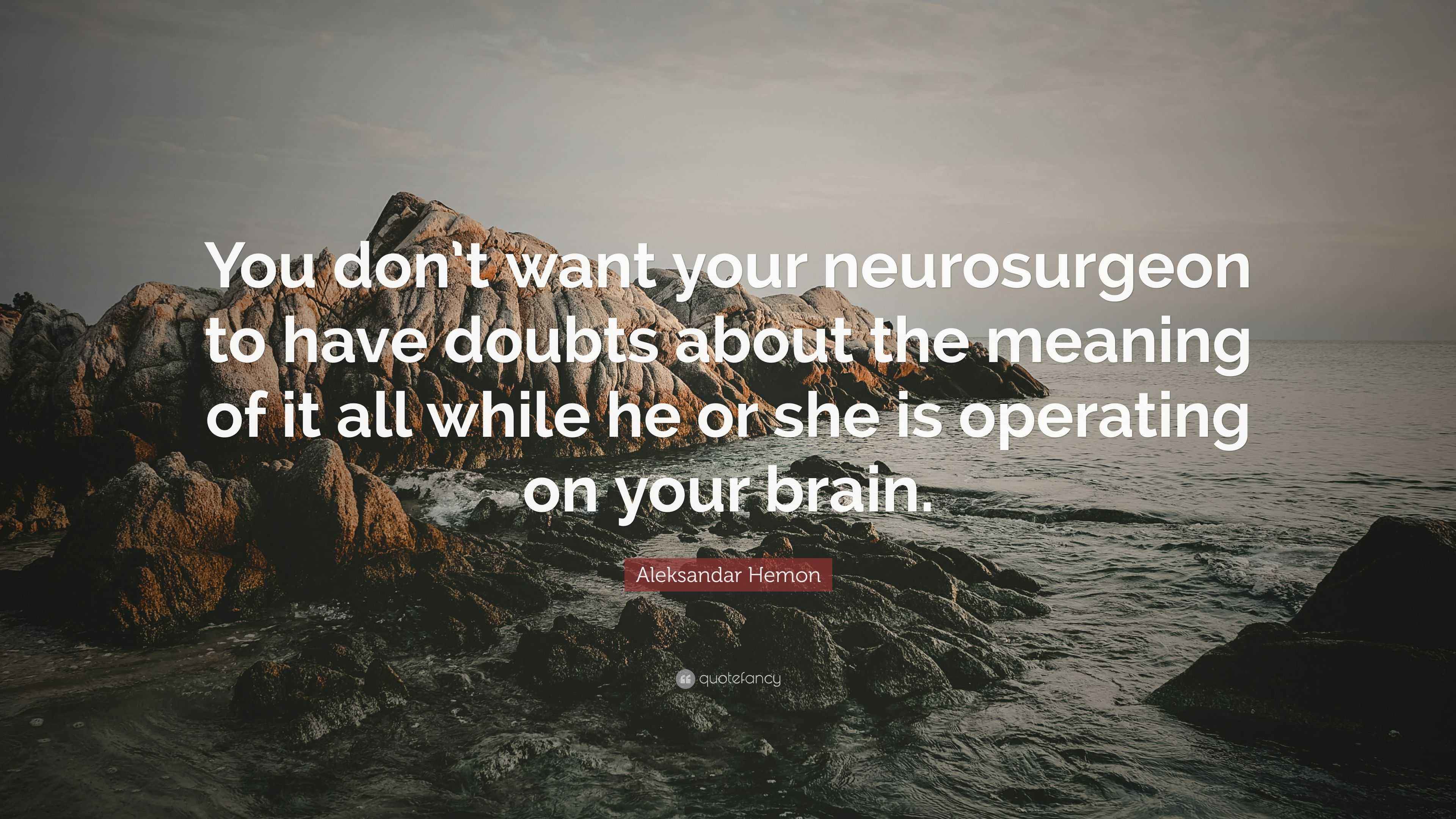 Aleksandar Hemon Quote: “You don’t want your neurosurgeon to have ...