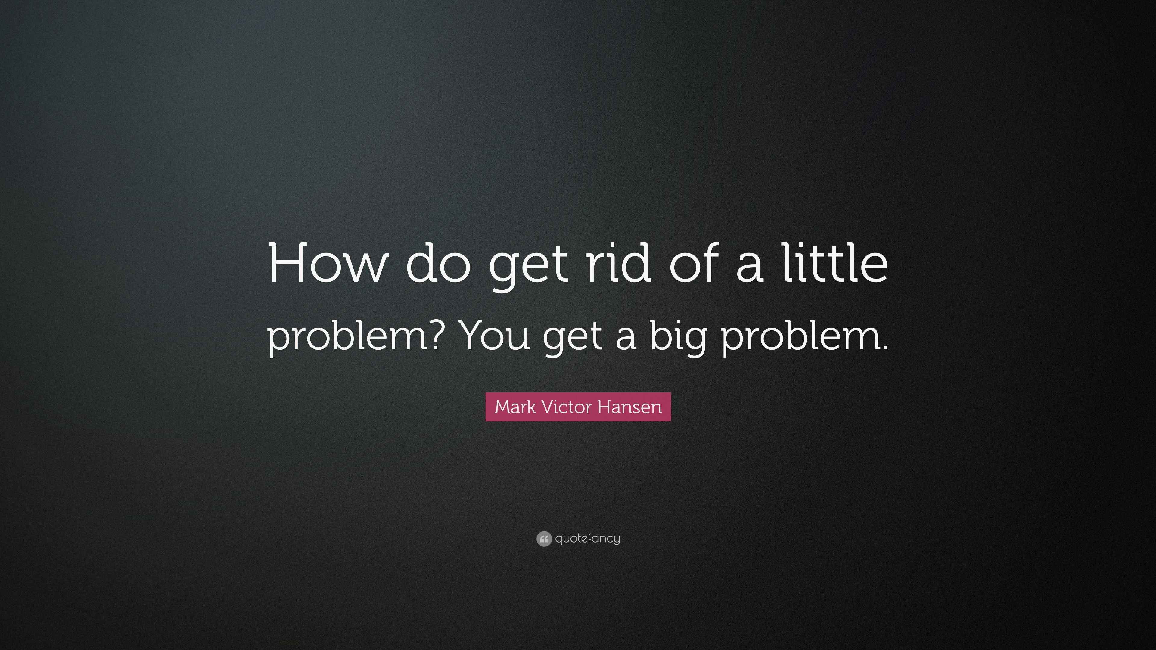 Mark Victor Hansen Quote: “How do get rid of a little problem? You get ...