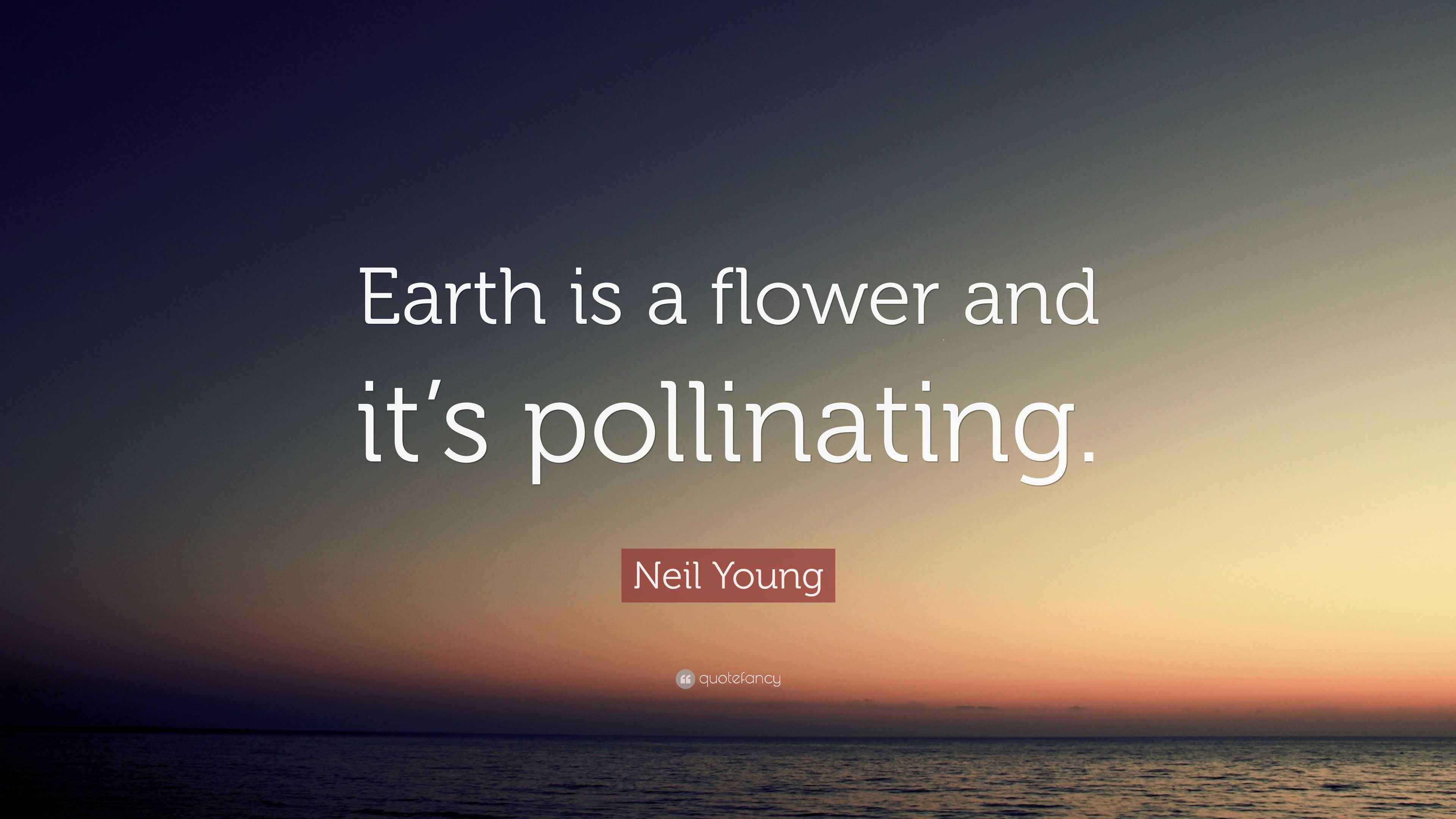 Neil Young Quote: “Earth is a flower and it’s pollinating.”