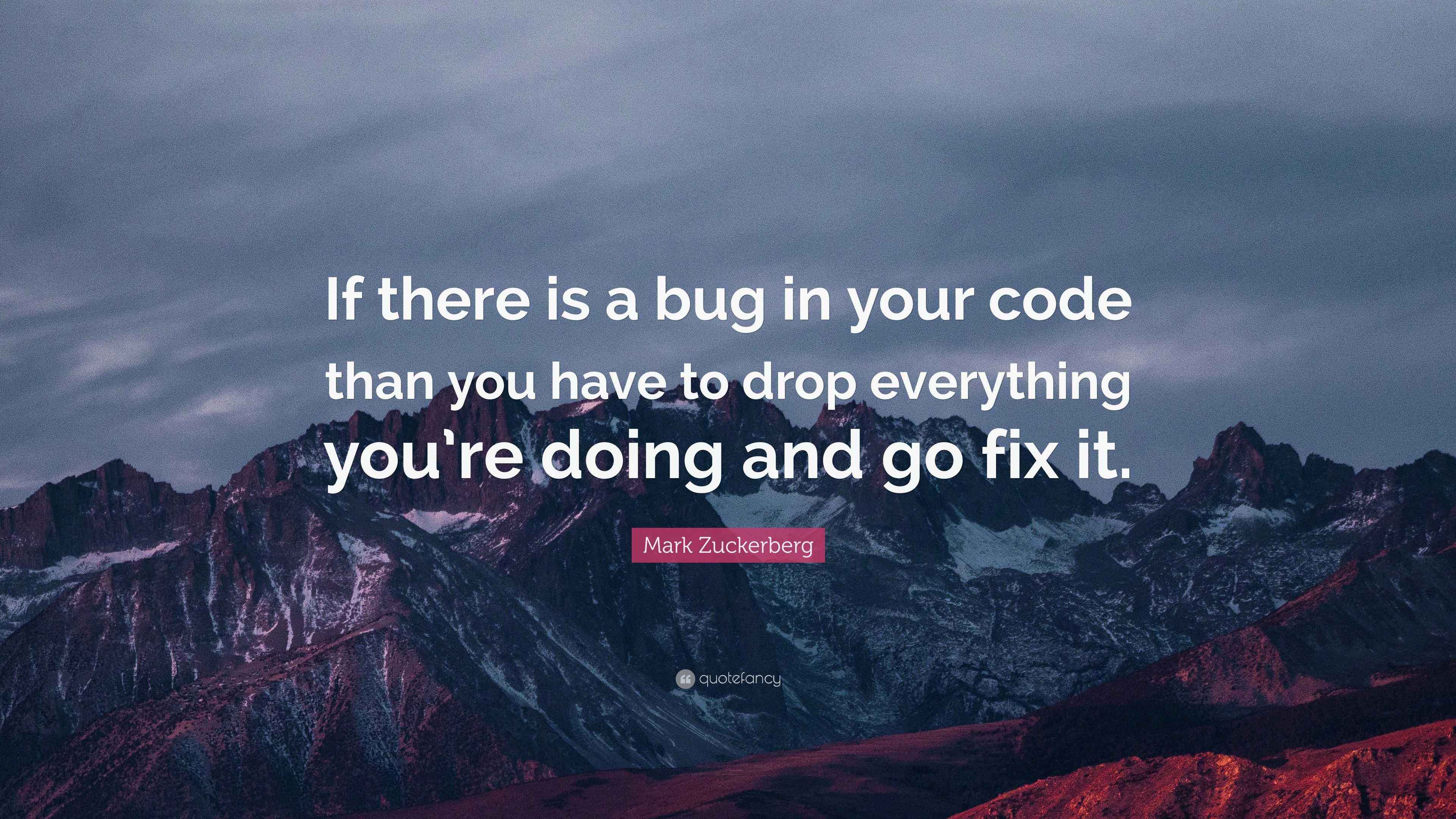 Mark Zuckerberg Quote: “If there is a bug in your code than you have to ...