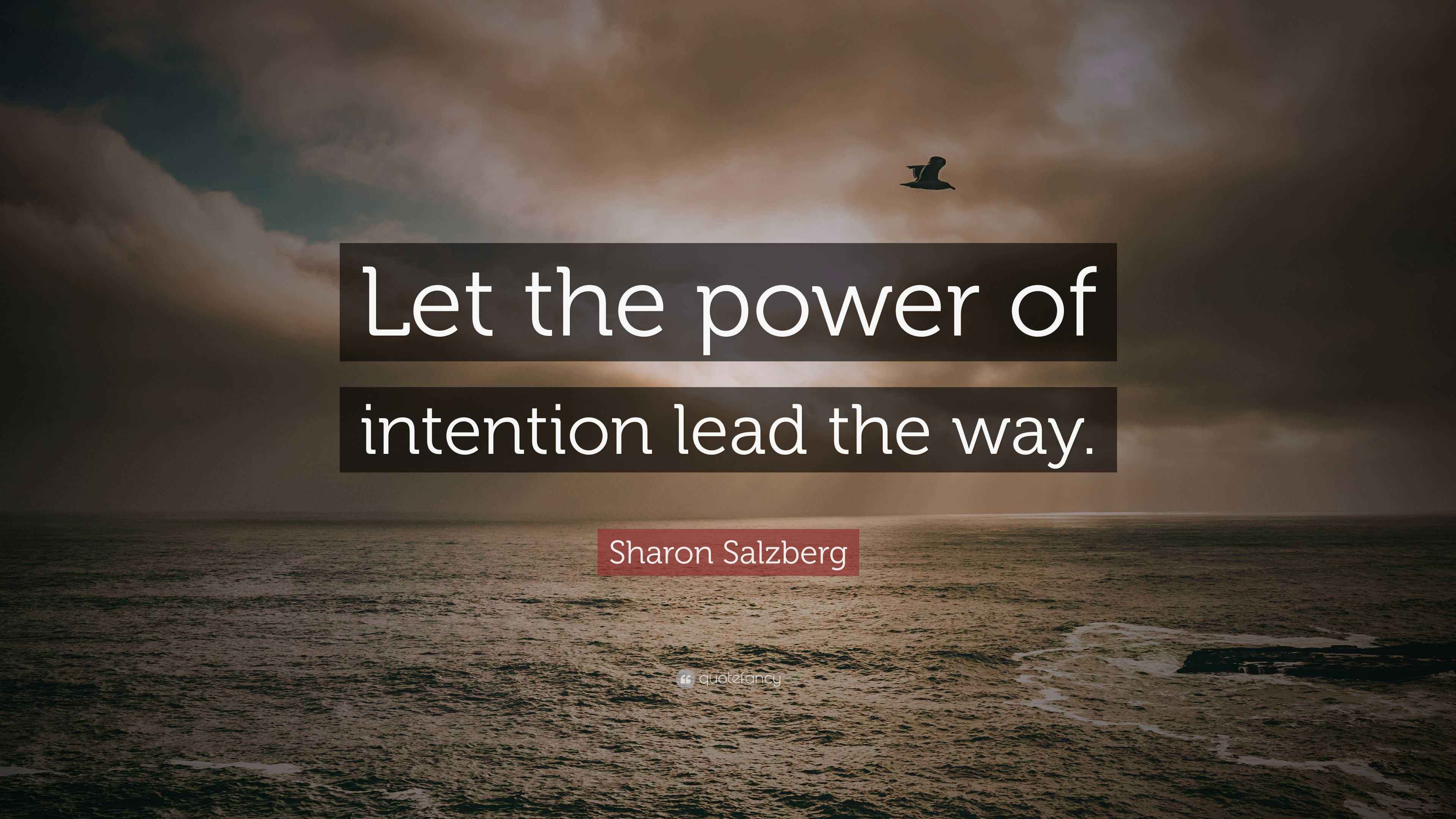 Sharon Salzberg Quote: “Let the power of intention lead the way.”