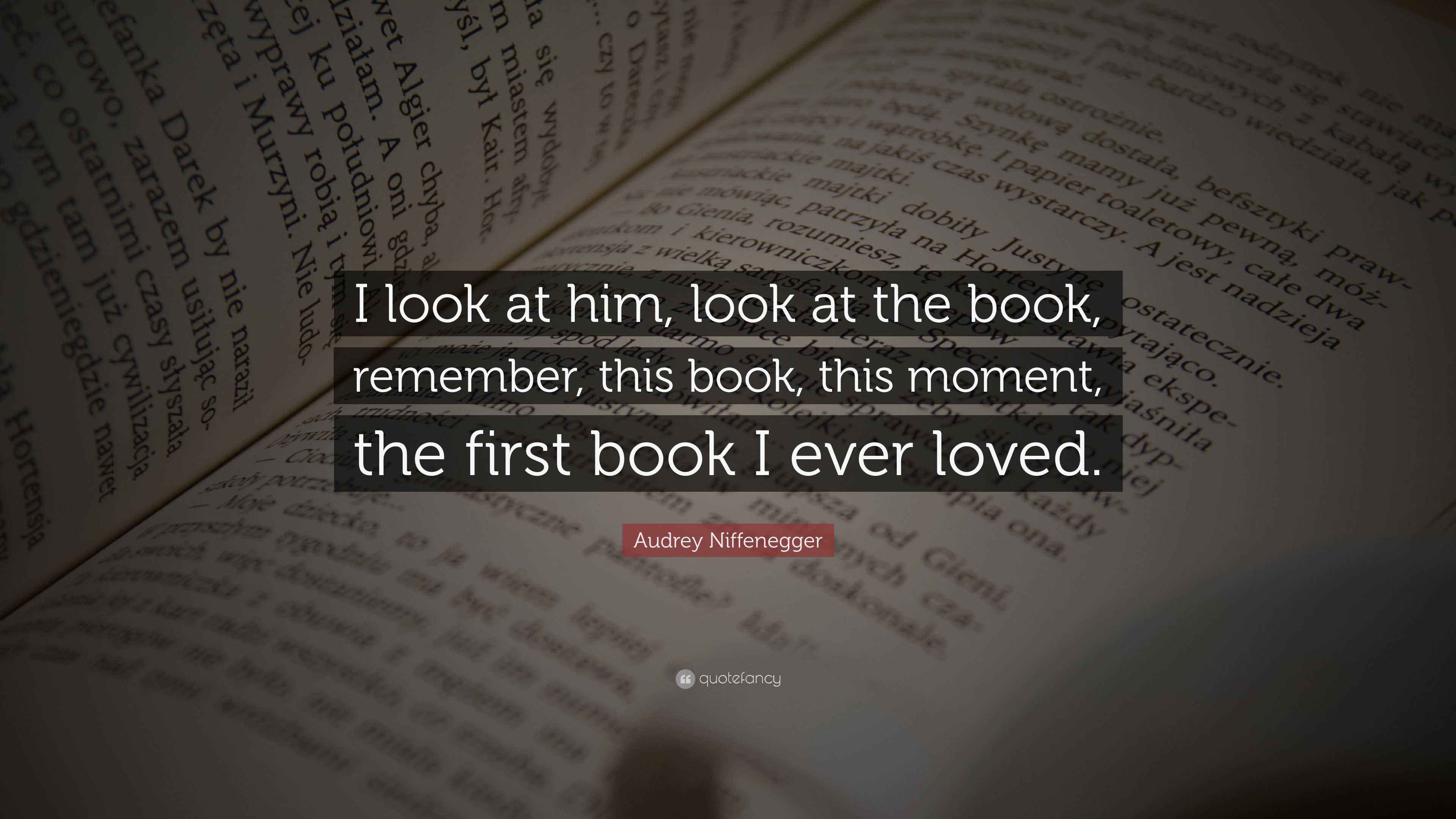Audrey Niffenegger Quote: “I look at him, look at the book, remember ...