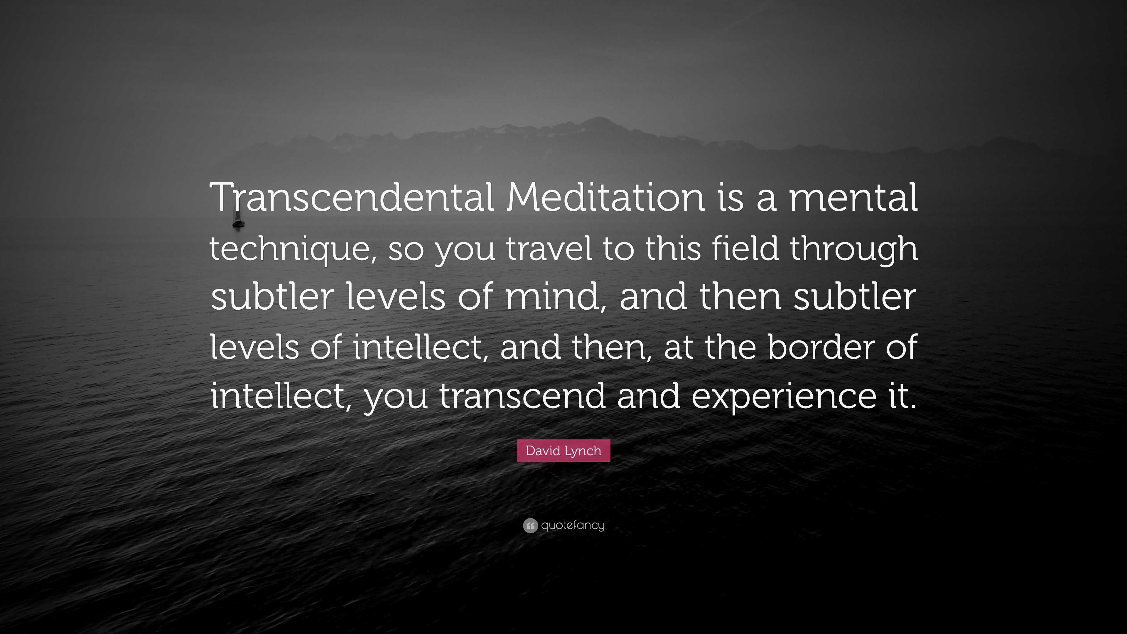 David Lynch Quote: “Transcendental Meditation is a mental technique, so ...