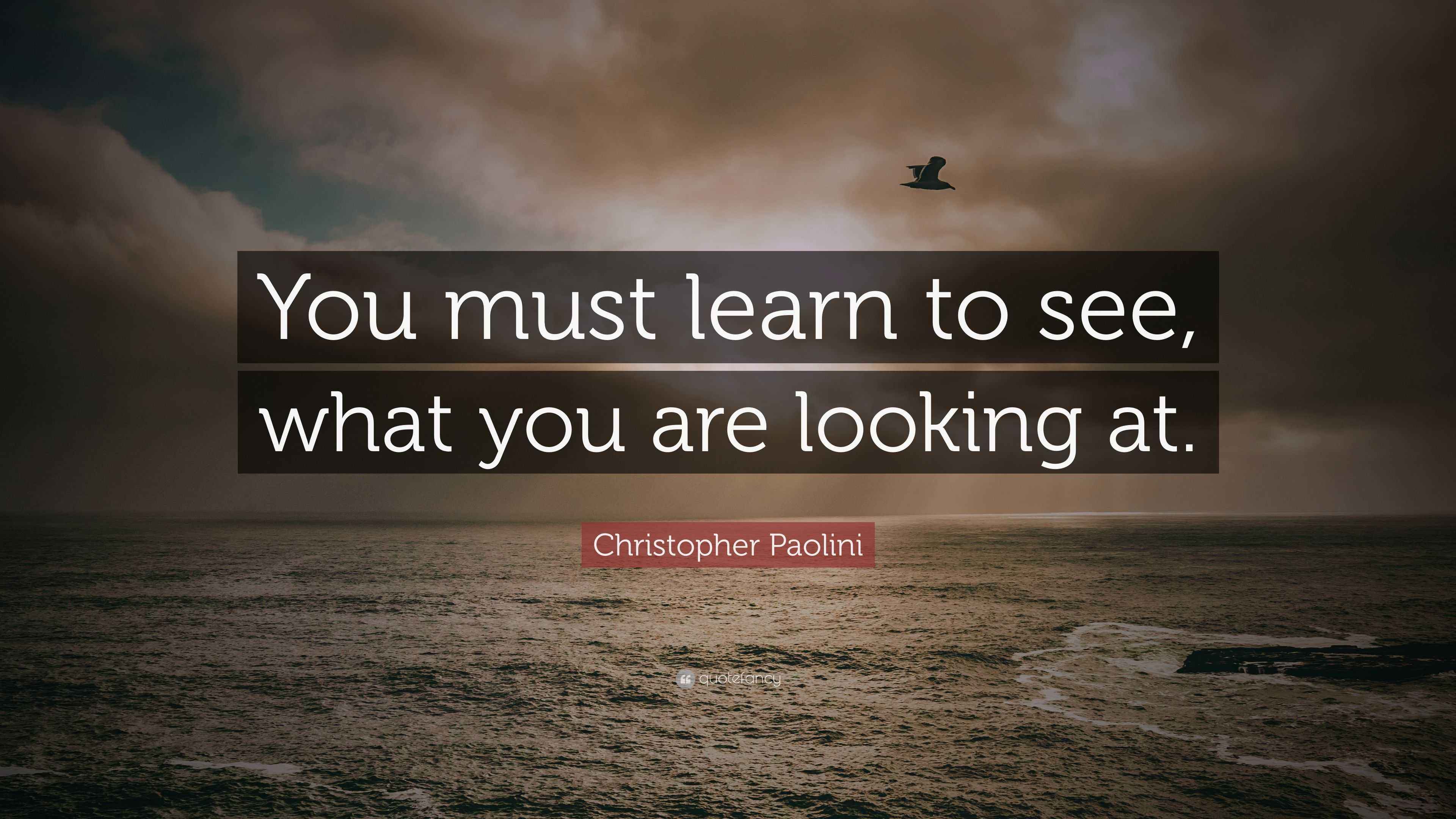 Christopher Paolini Quote: “You must learn to see, what you are looking ...