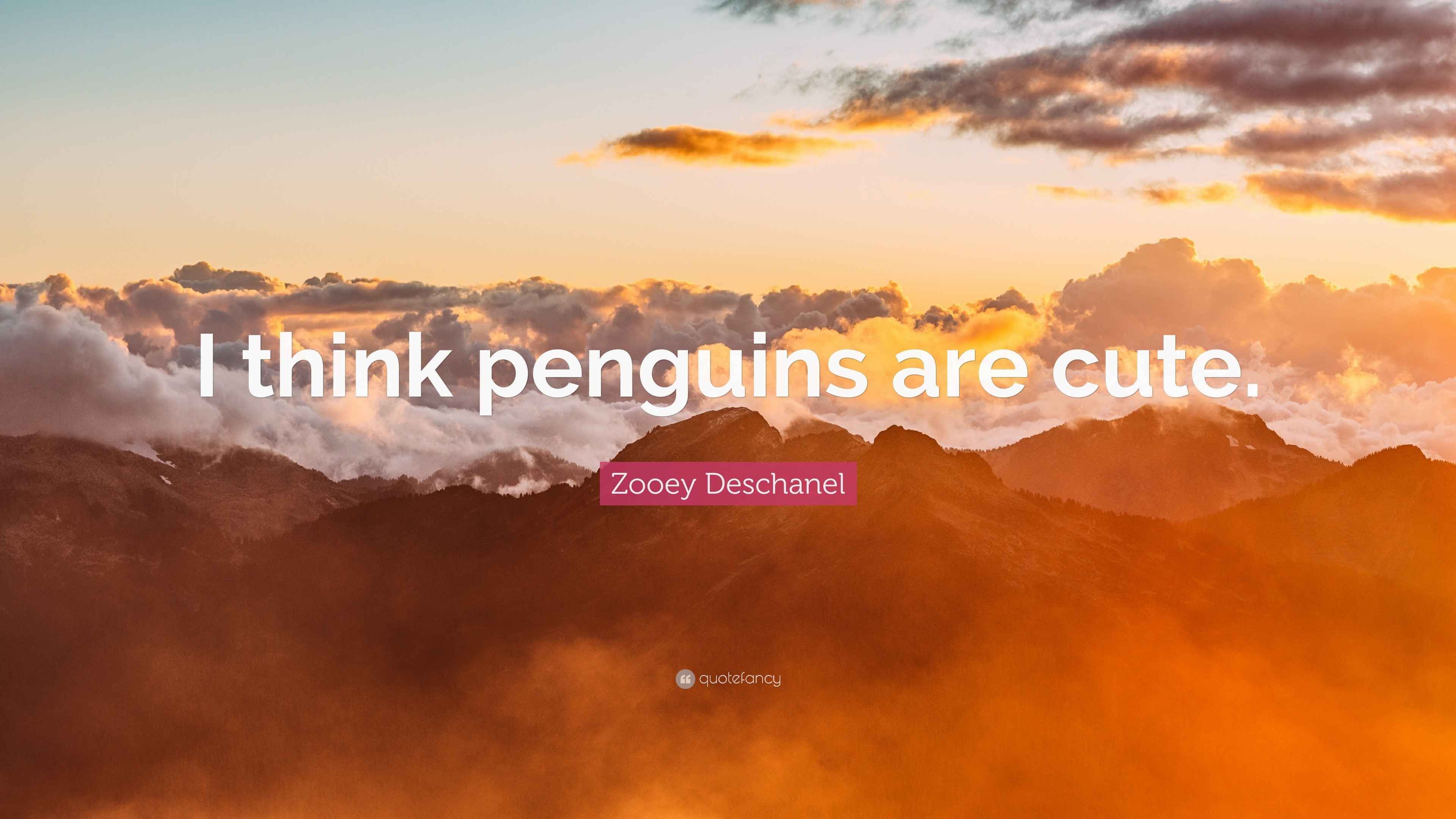 Zooey Deschanel Quote: “I think penguins are cute.”