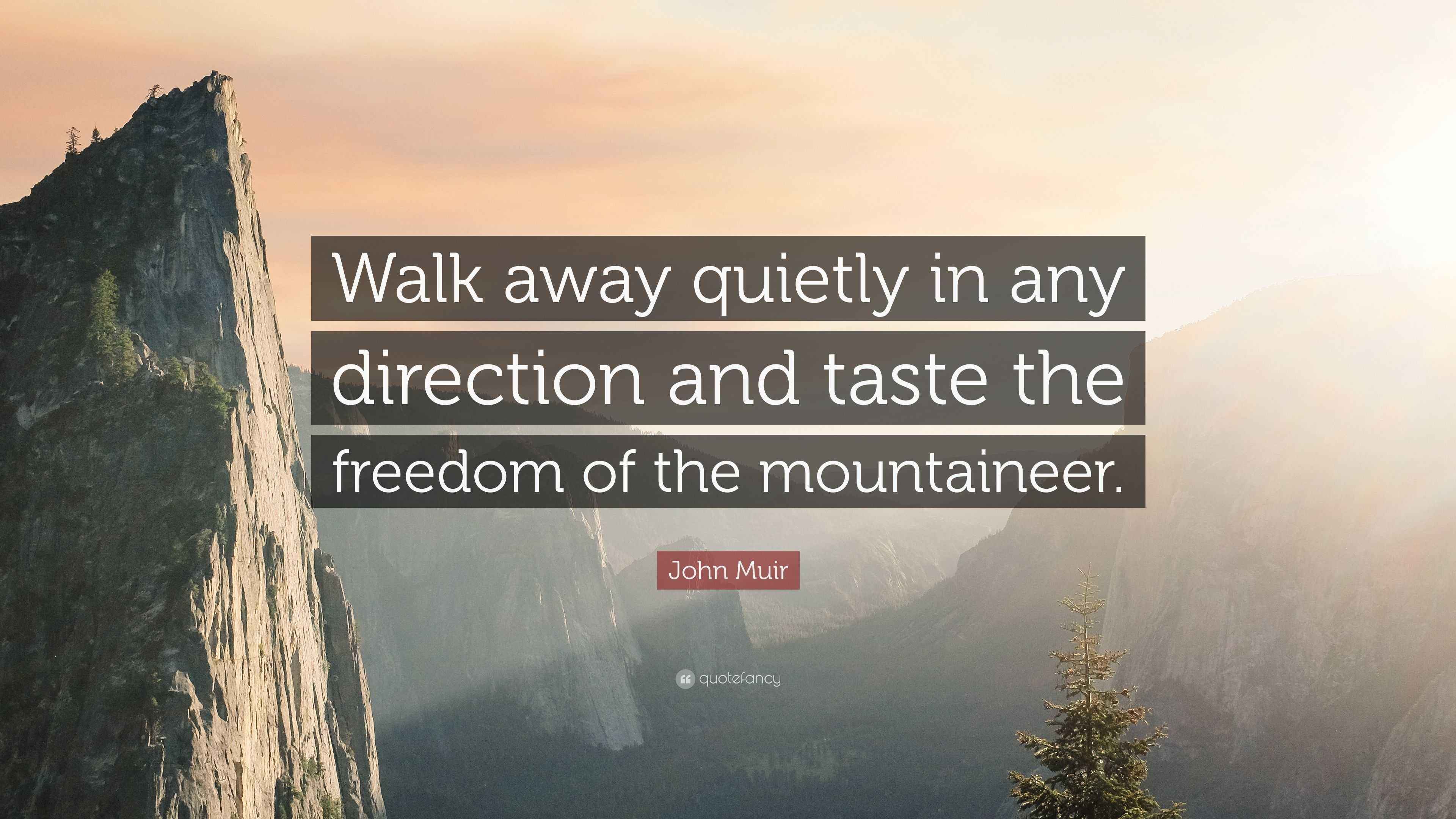 John Muir Quote: “Walk away quietly in any direction and taste the ...