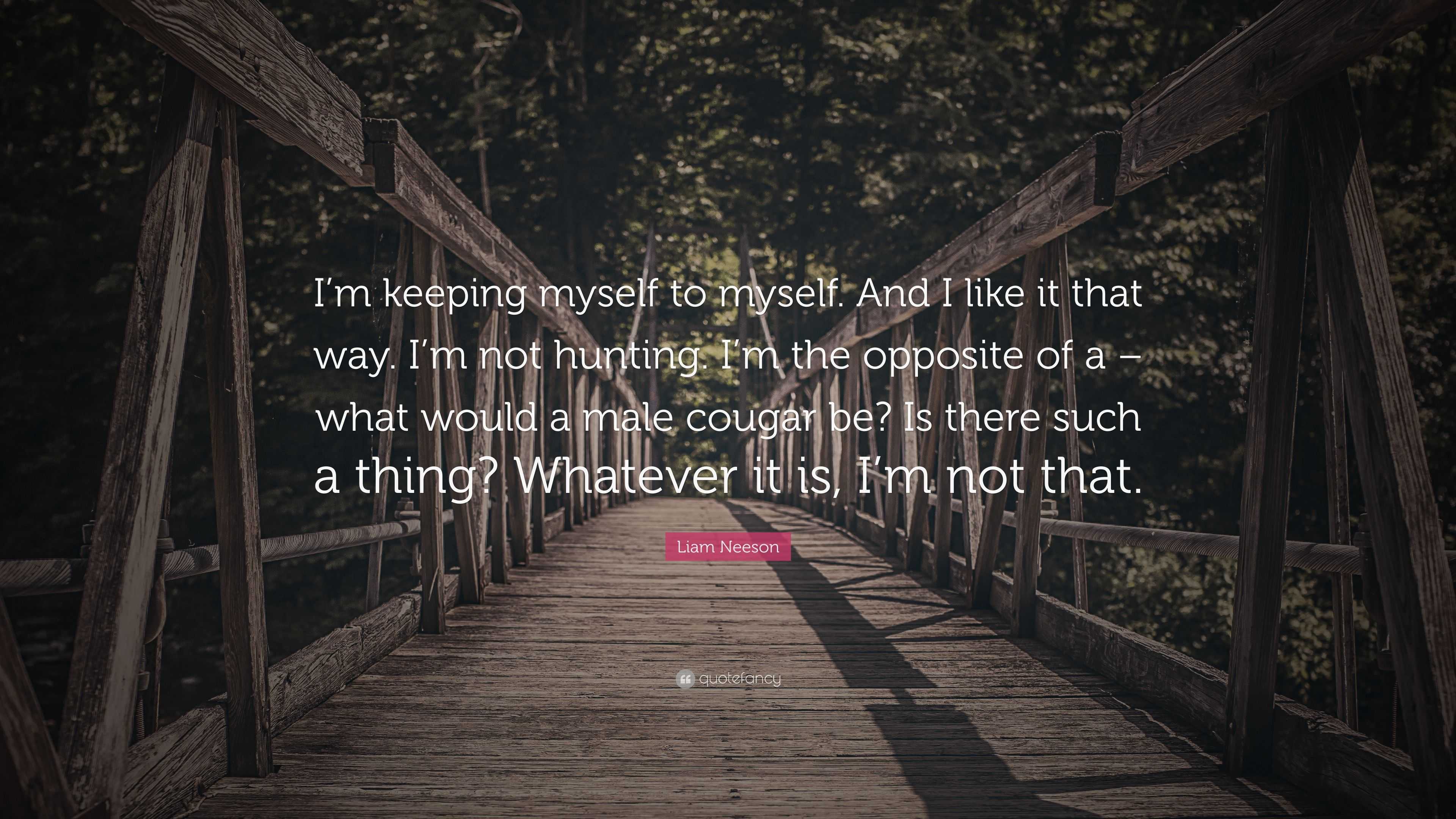 Liam Neeson Quote: “I’m keeping myself to myself. And I like it that ...