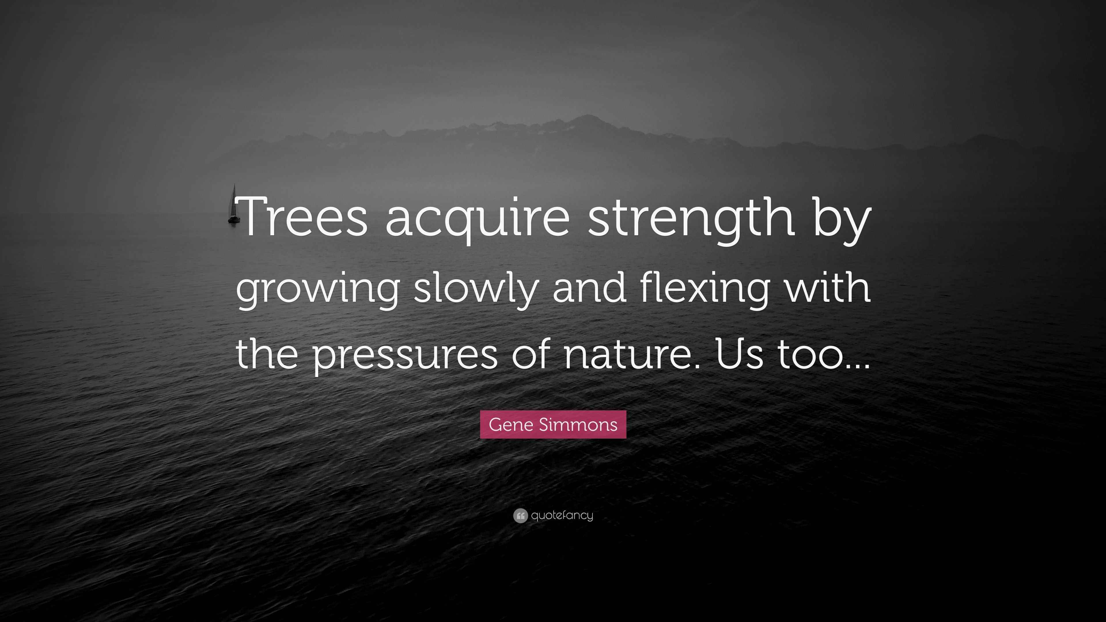 Gene Simmons Quote: “Trees acquire strength by growing slowly and ...