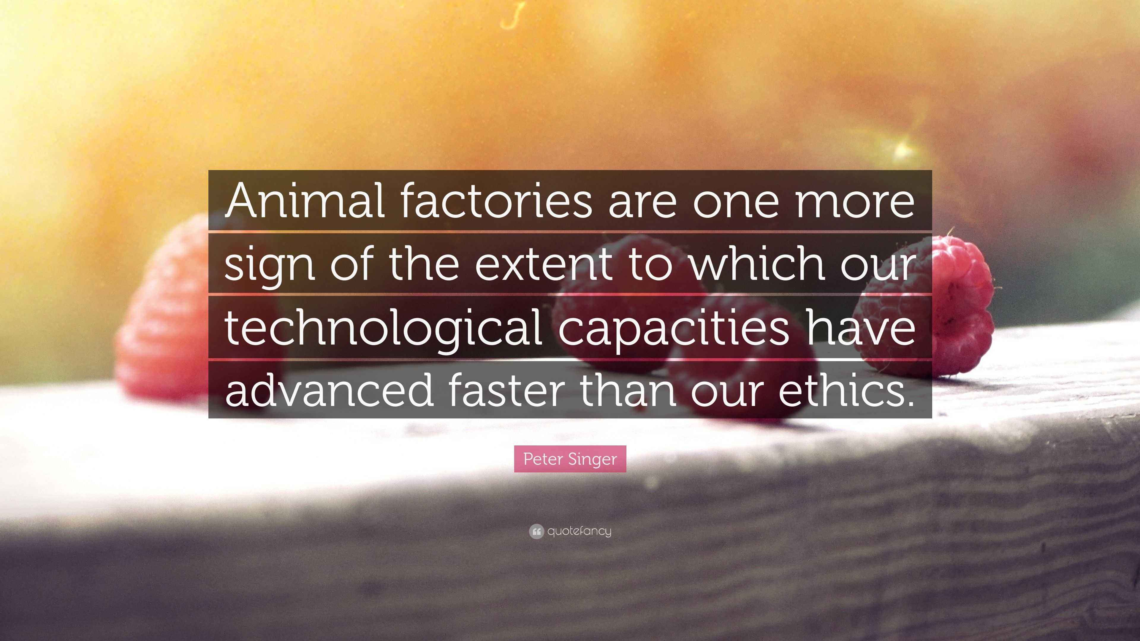 Peter Singer Quote: “Animal factories are one more sign of the extent ...