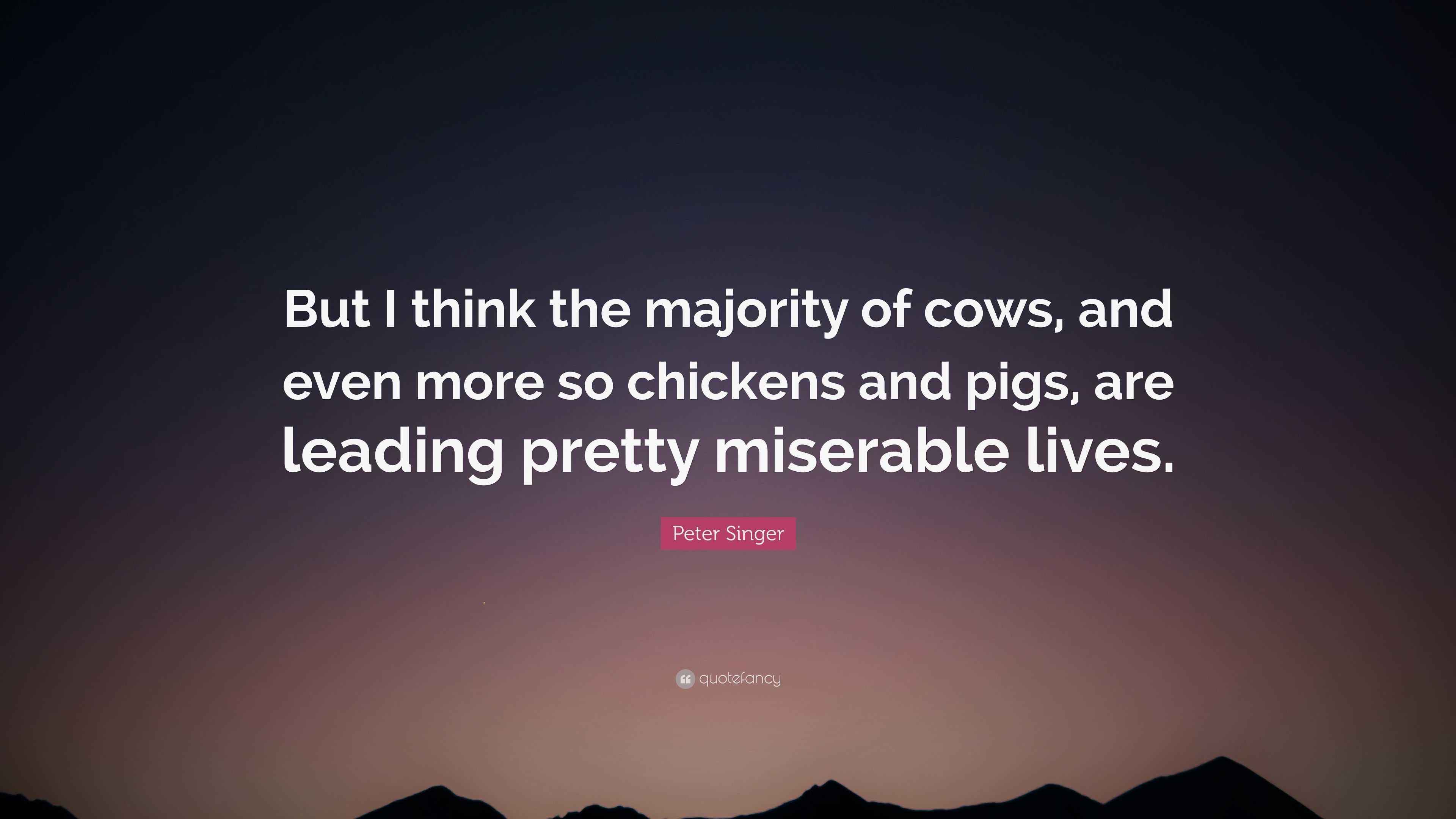 Peter Singer Quote: “But I think the majority of cows, and even more so ...
