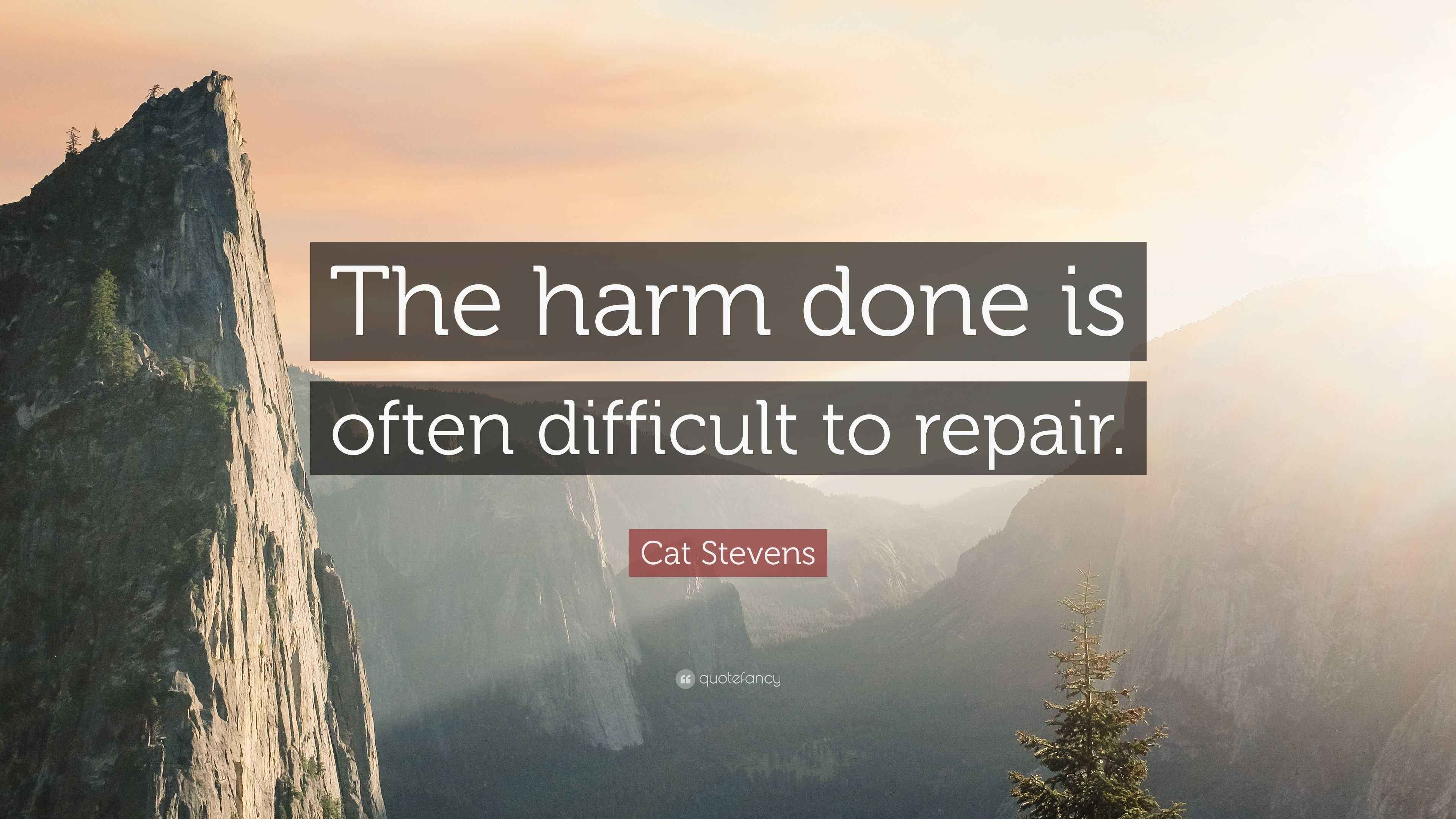 Cat Stevens Quote: “The harm done is often difficult to repair.”