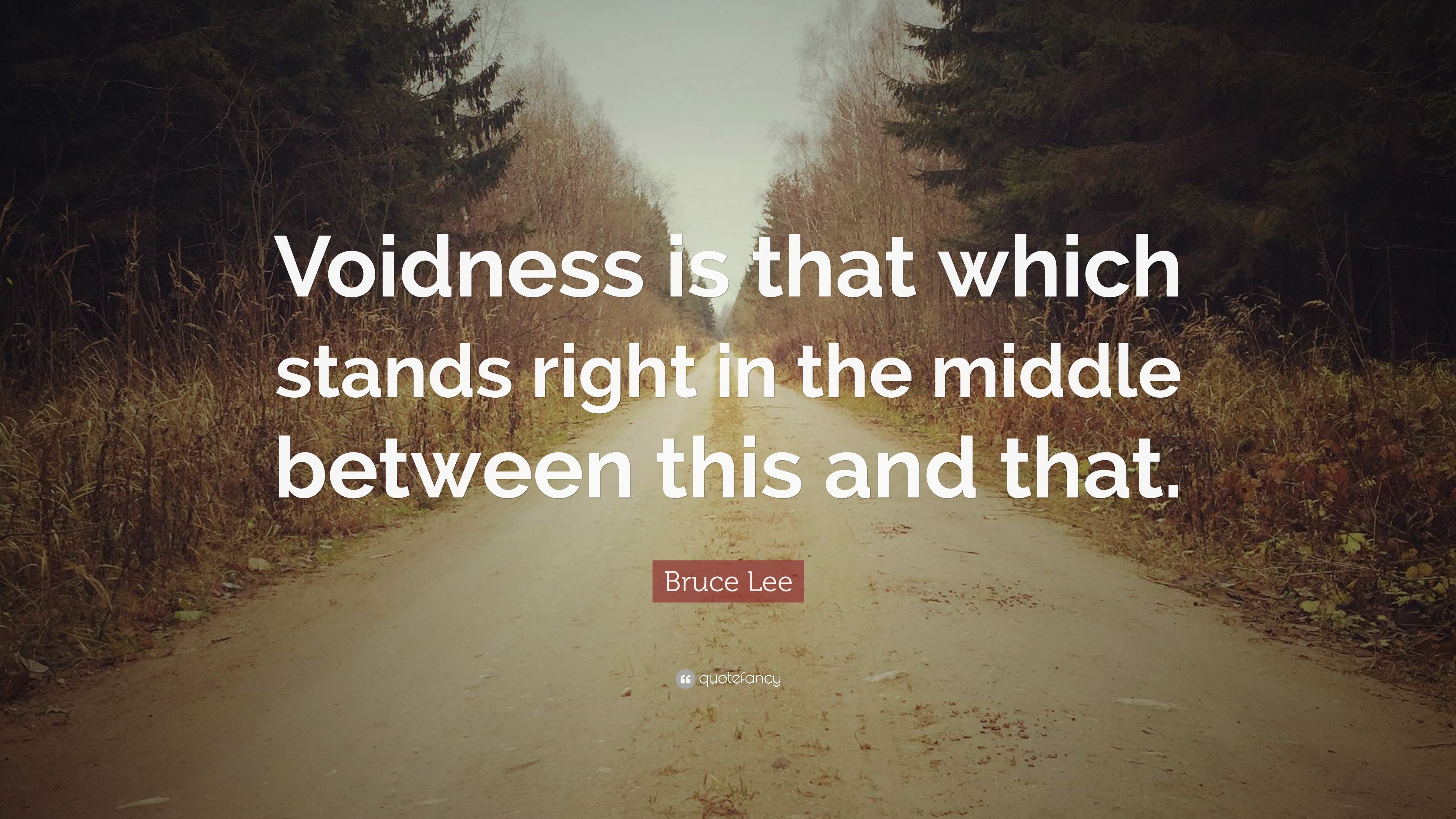 Bruce Lee Quote: “Voidness is that which stands right in the middle ...
