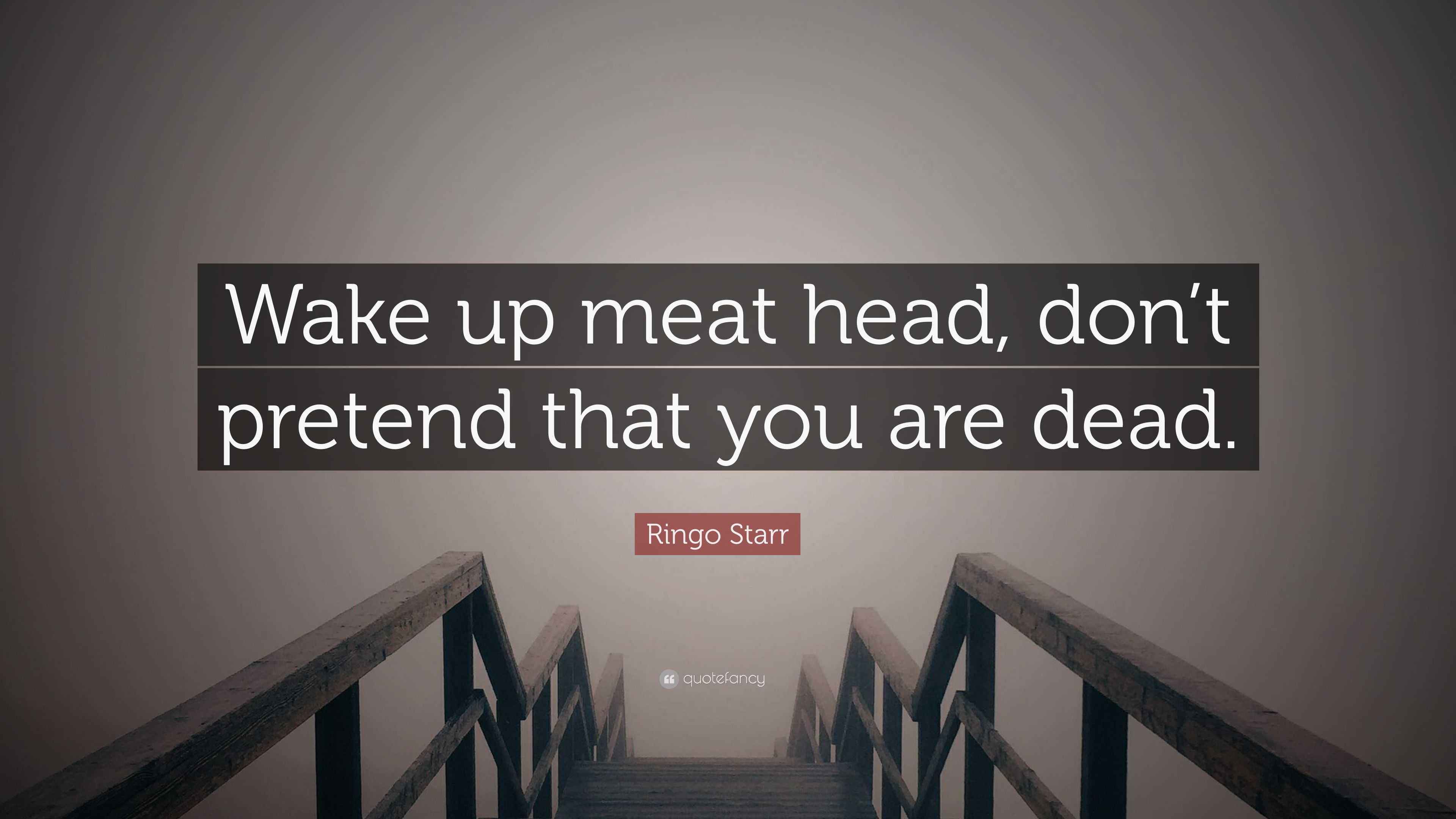Ringo Starr Quote: “Wake up meat head, don’t pretend that you are dead.”