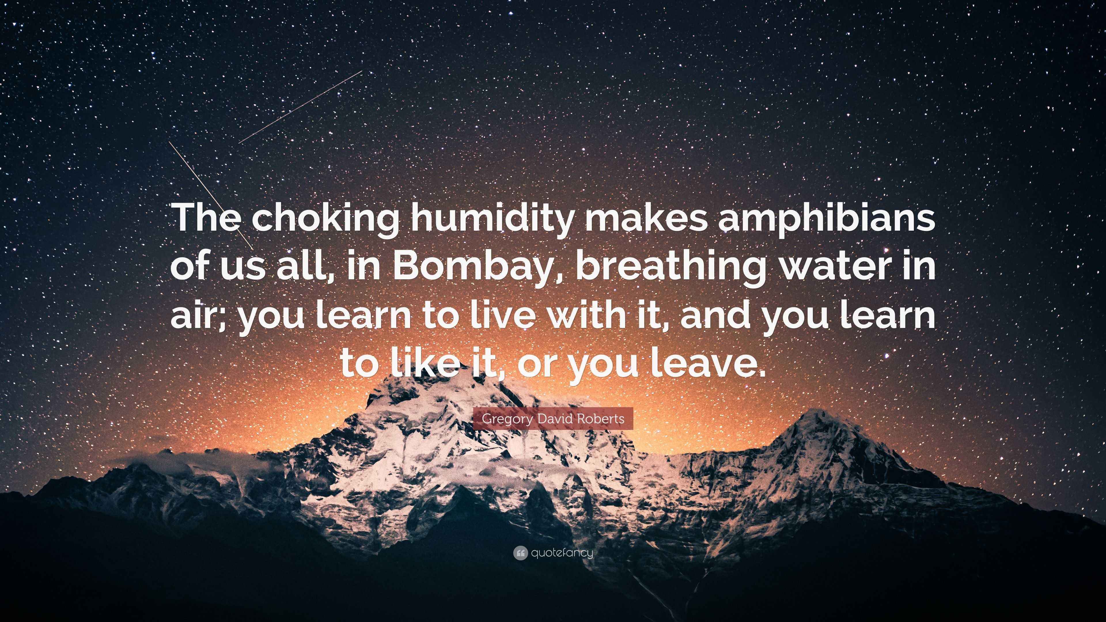 Gregory David Roberts Quote: “The choking humidity makes amphibians of ...