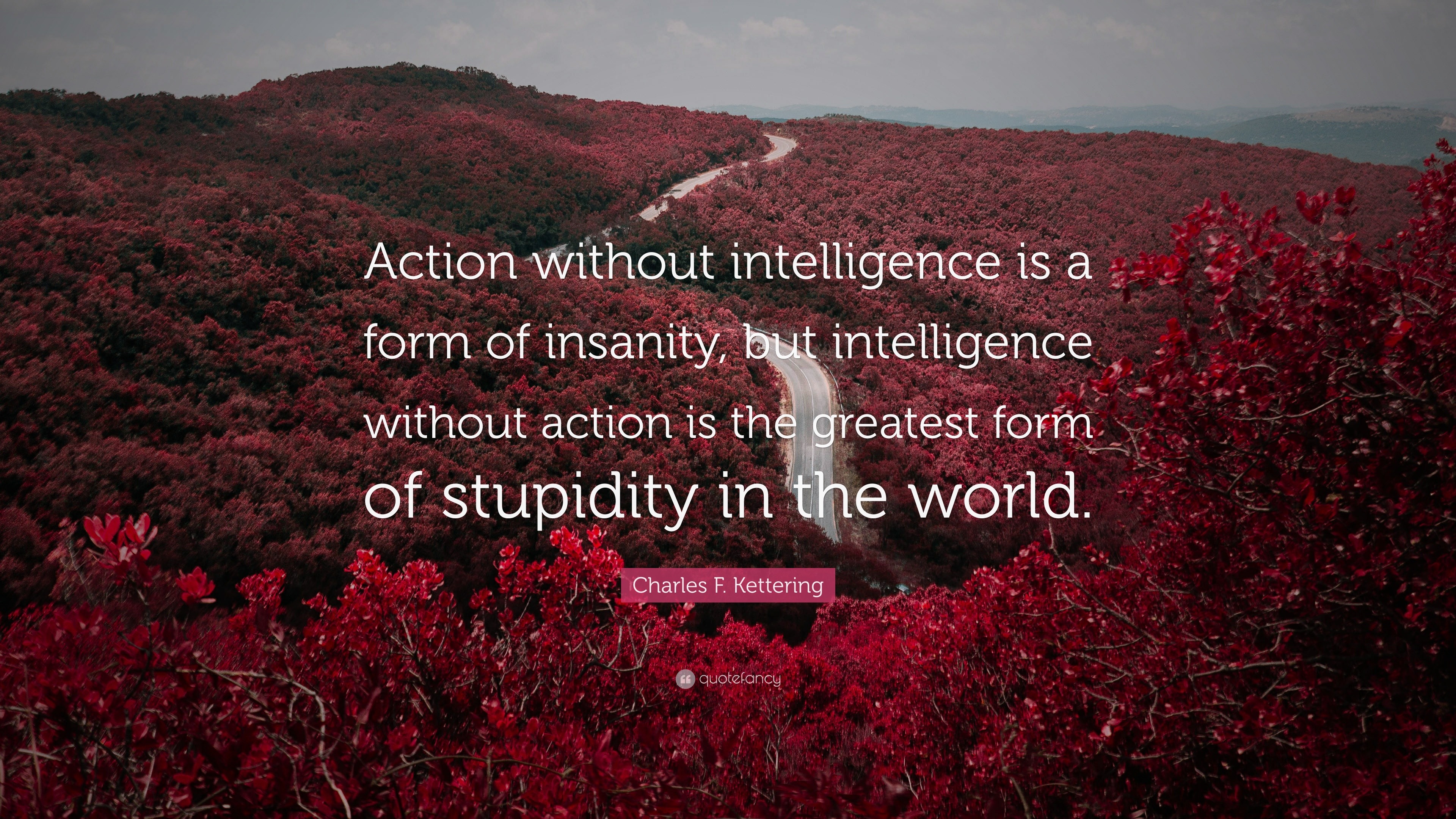 Charles F. Kettering Quote: “Action without intelligence is a form of ...
