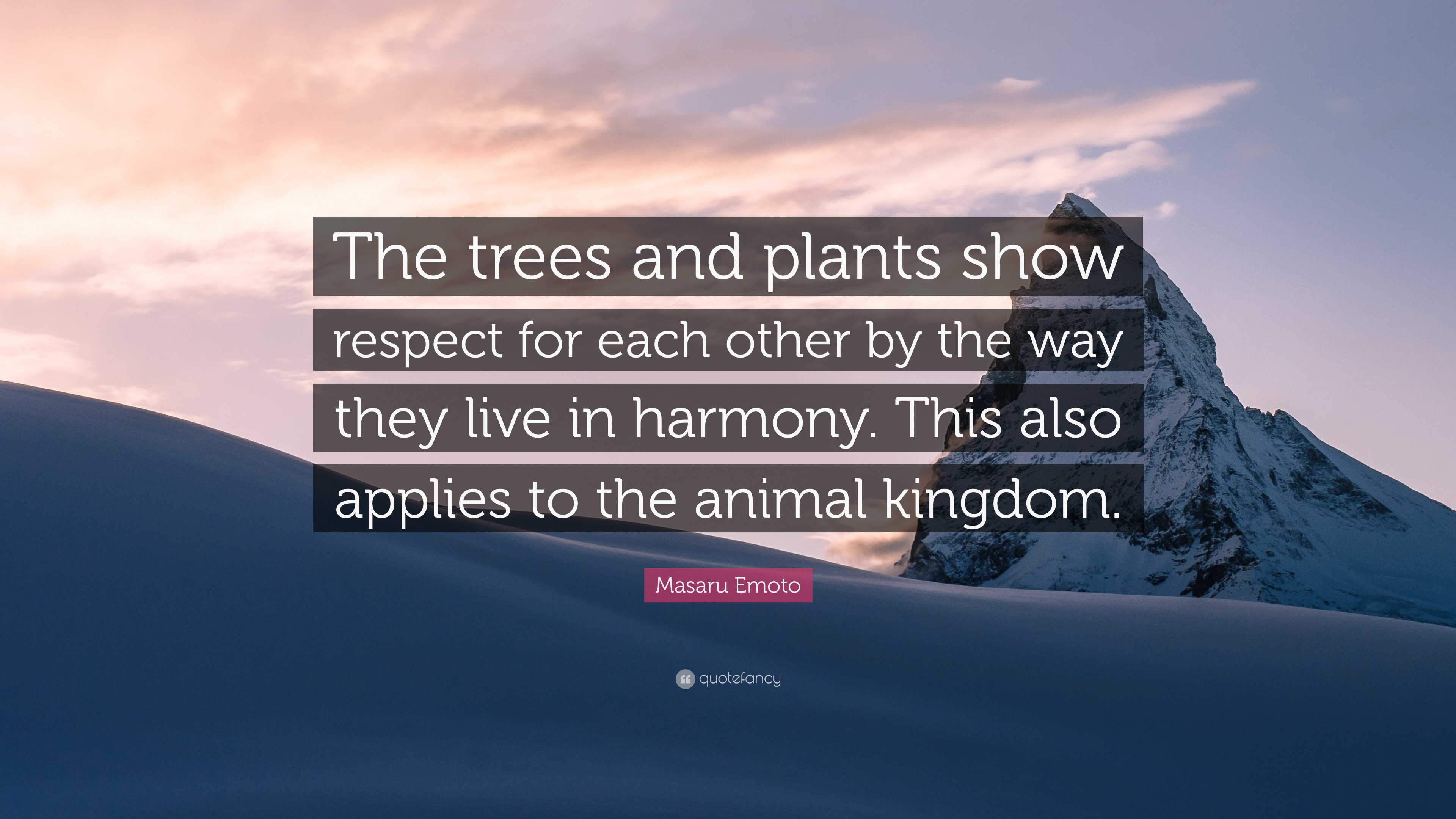 Masaru Emoto Quote: “The trees and plants show respect for each other ...
